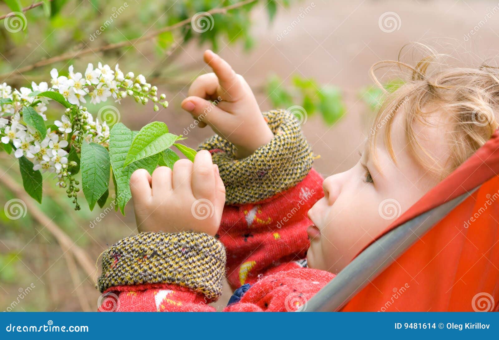 Very interested stock photo. Image of flower, chair, watch - 9481614