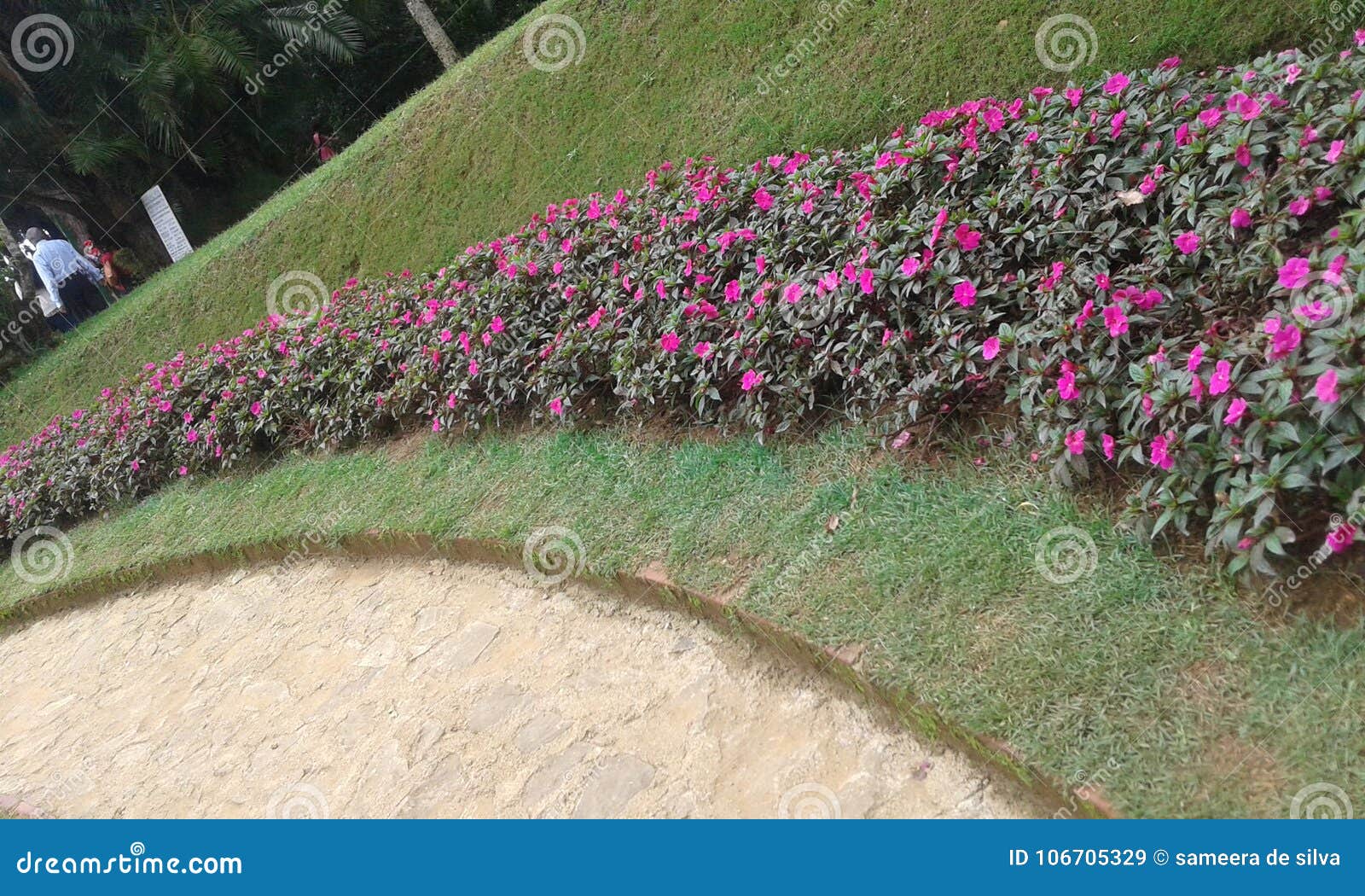 Intersting garding stock image. Image of intersting - 106705329