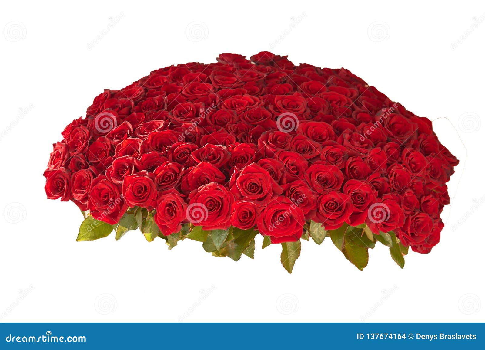 A Very Large Bouquet of Red Roses on a White Background. Isolate Stock ...