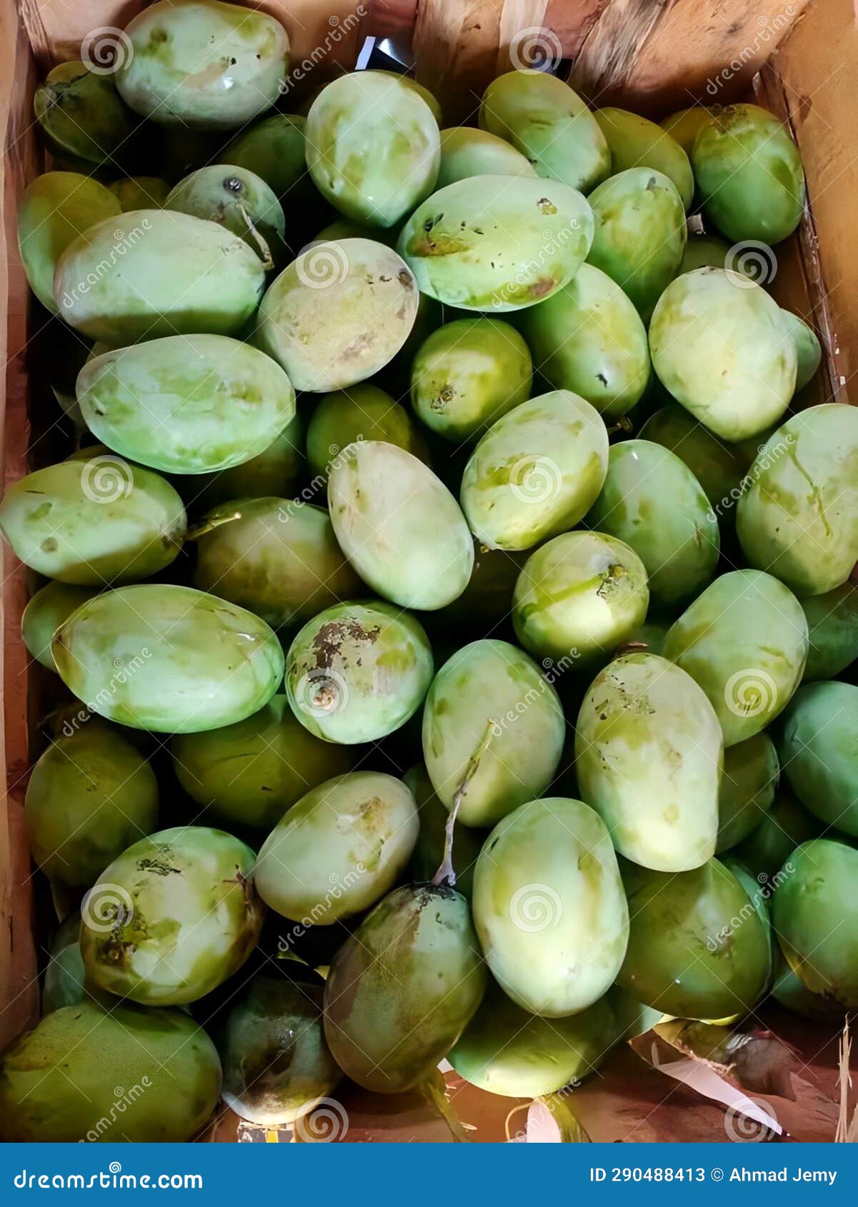 A Very Large Group of Mangoes in a Box Stock Image - Image of mangoes ...