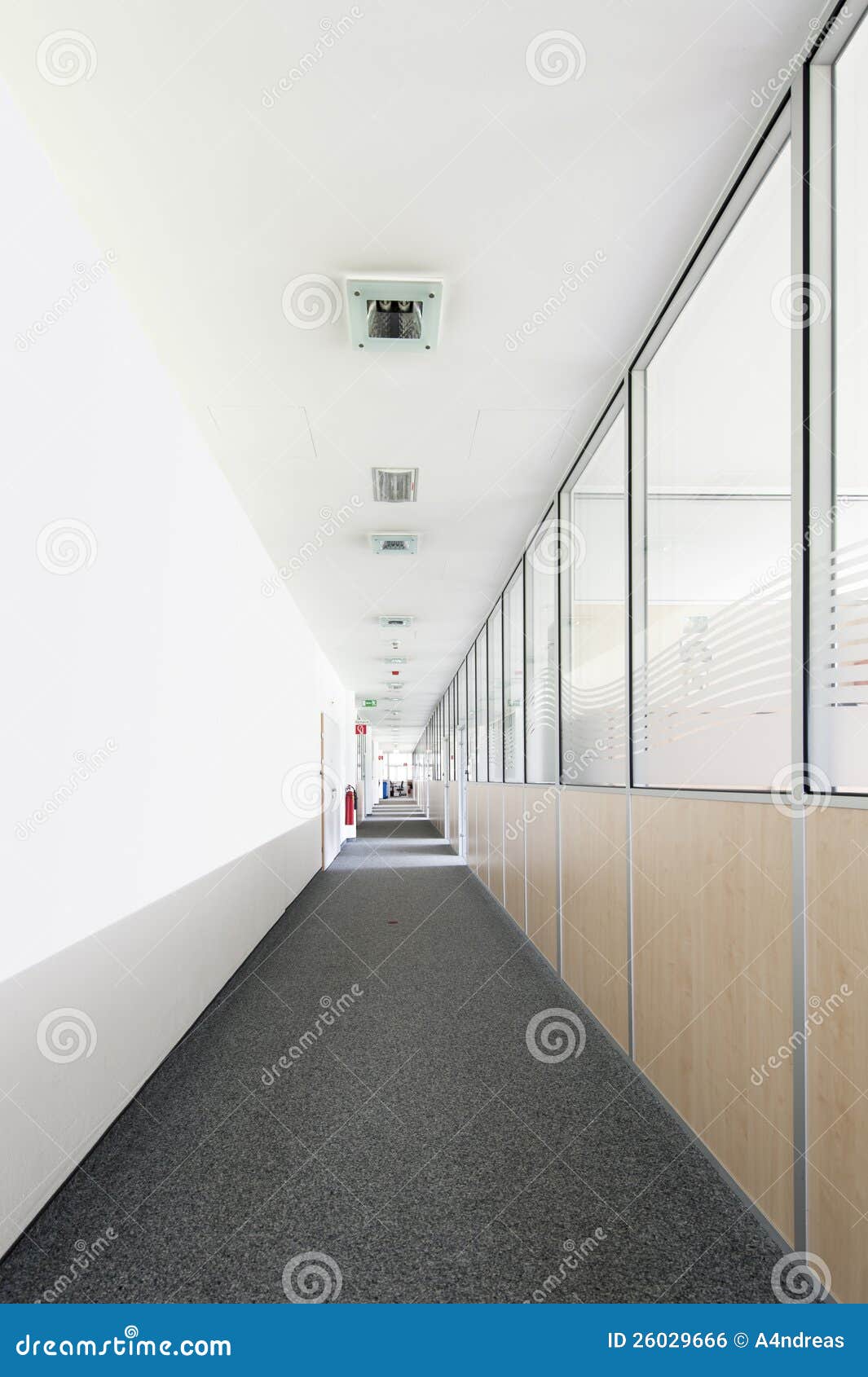 Very Long Office Corridor with Fabric Carpet Glass Stock Photo - Image ...