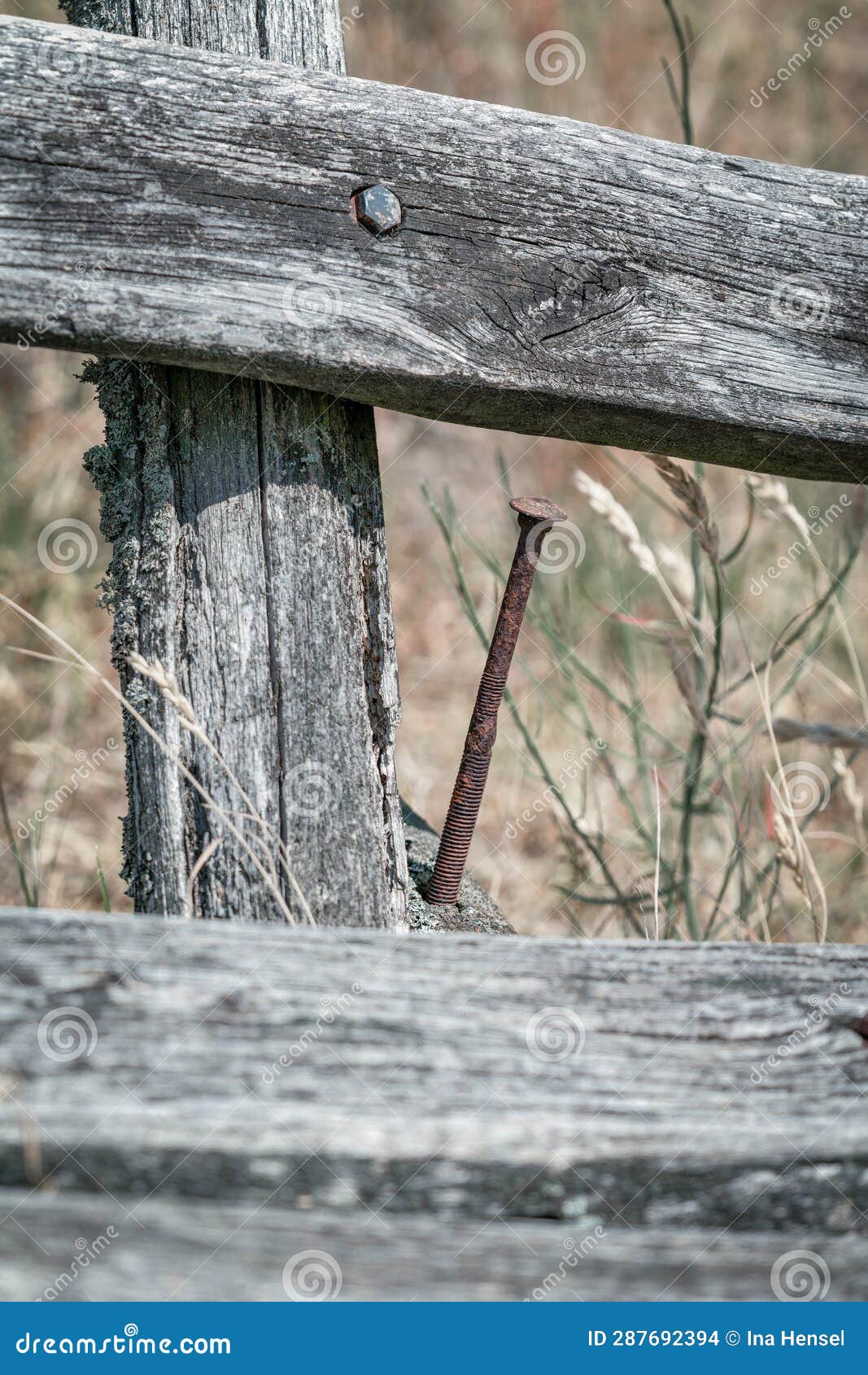A very long rusty nail stock photo. Image of lines, planks - 287692394