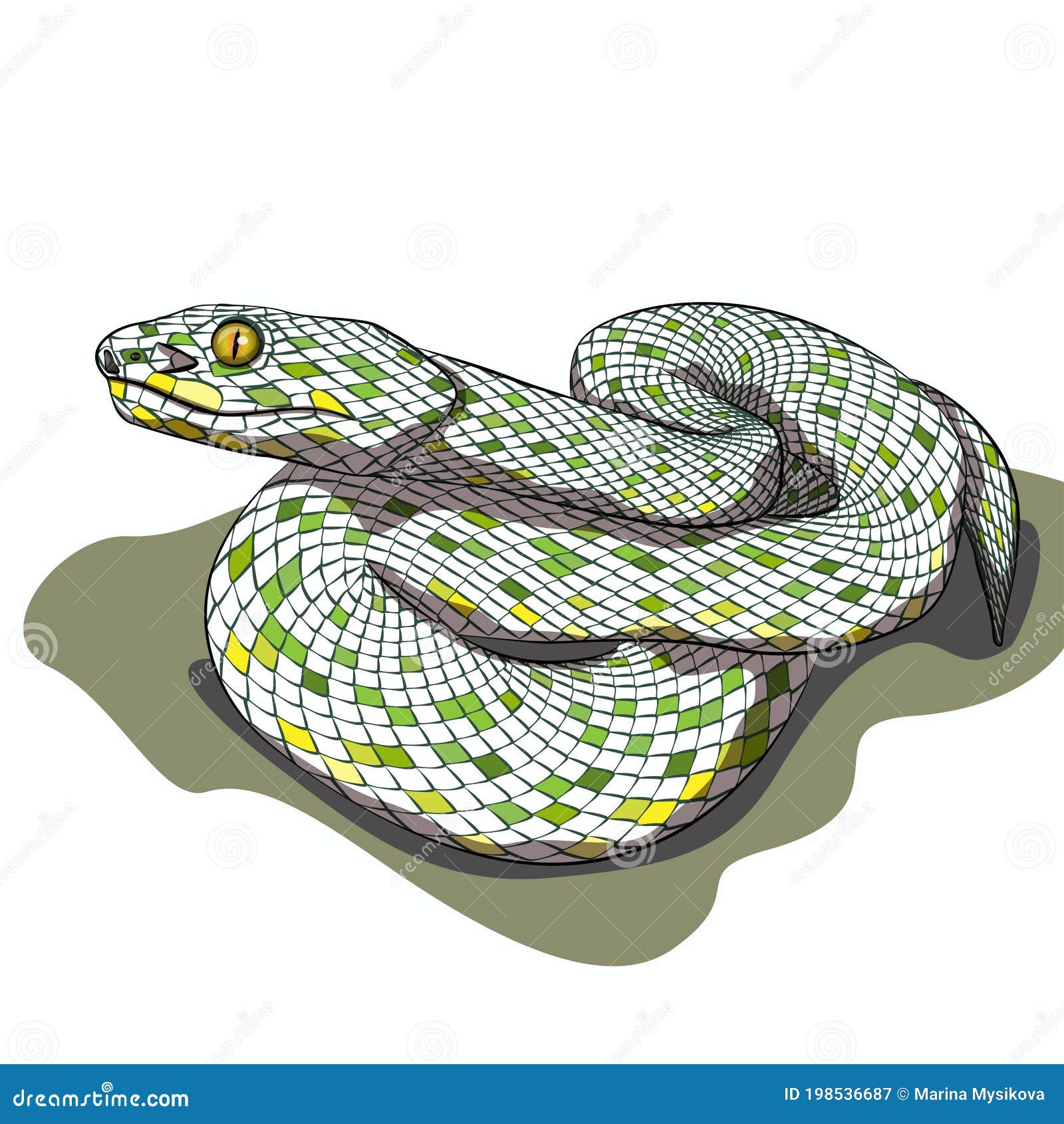 Long Boa Snake In Glass Snake Terrarium In The Zoo With Piece Of Wood ...