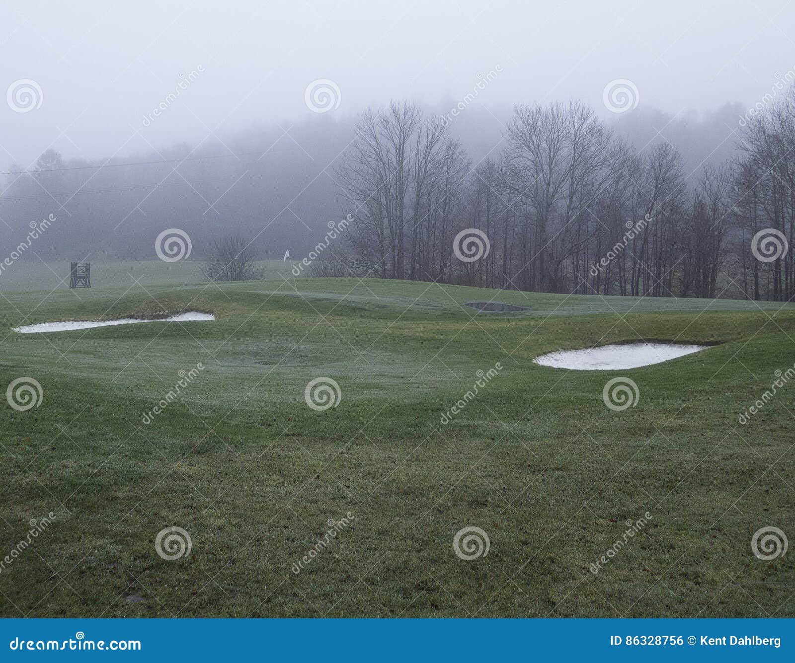 Very Much Fog on the Golf Course Stock Photo - Image of trees ...