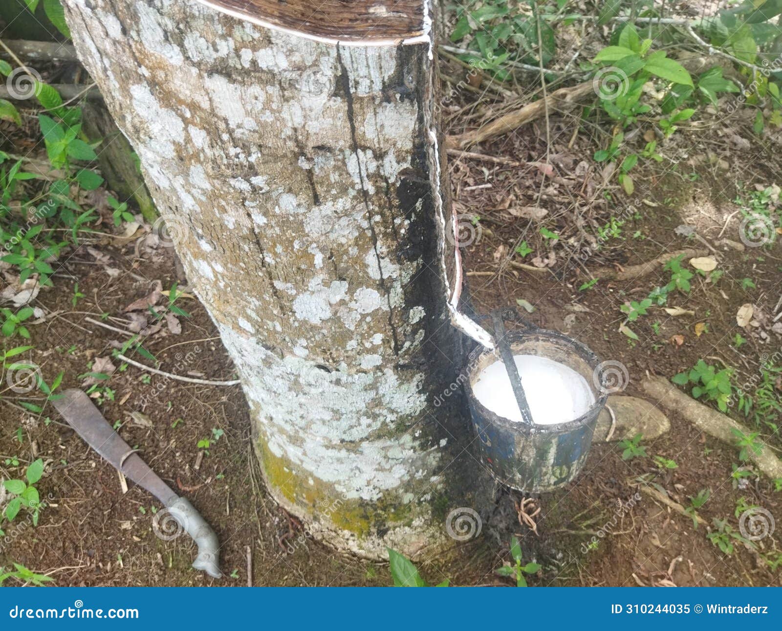 Very Much Loft Board Plaster Texture - Cute Abstract Photo Background ...