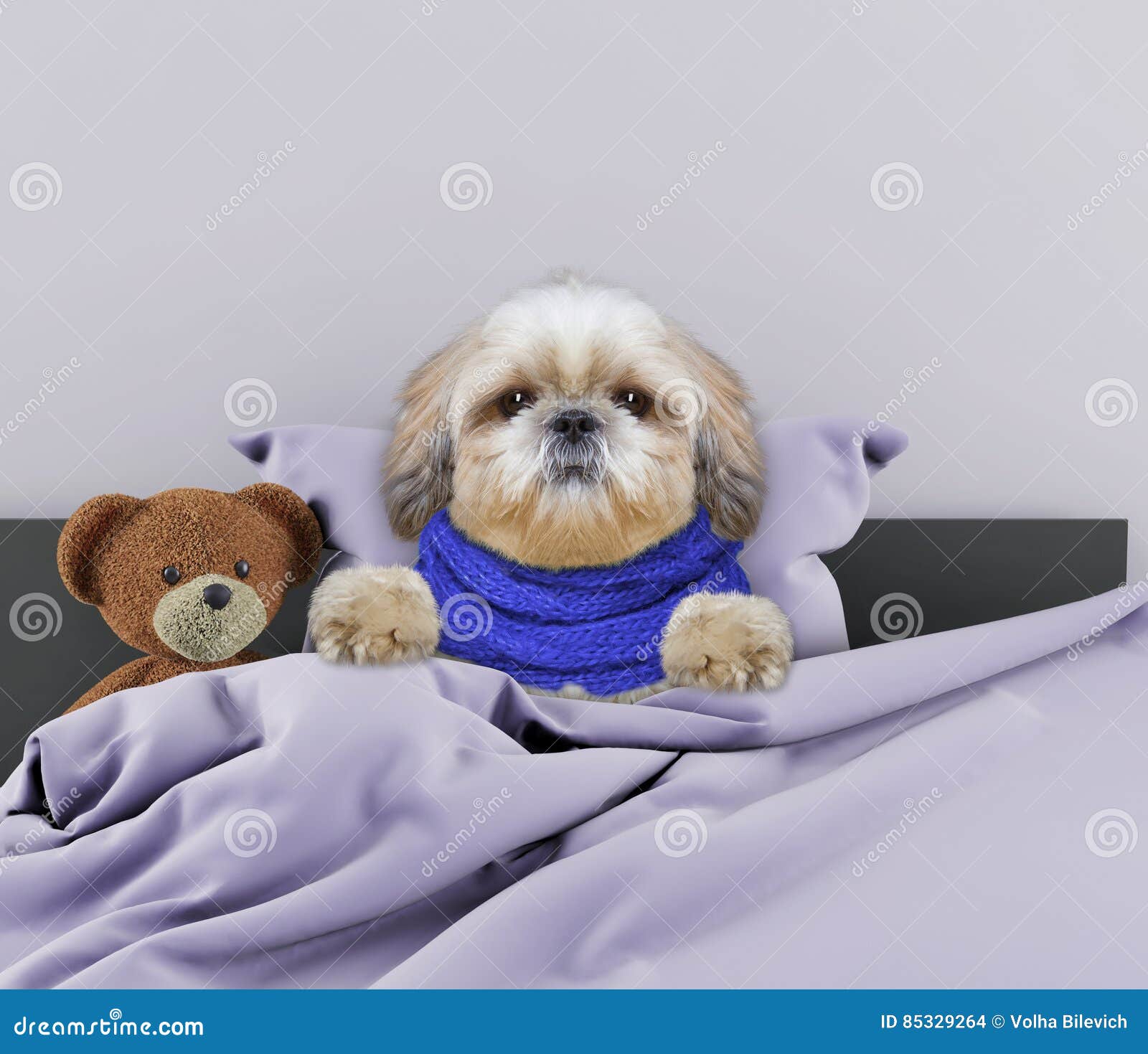 Very much sick cute dog stock photo. Image of problem - 85329264