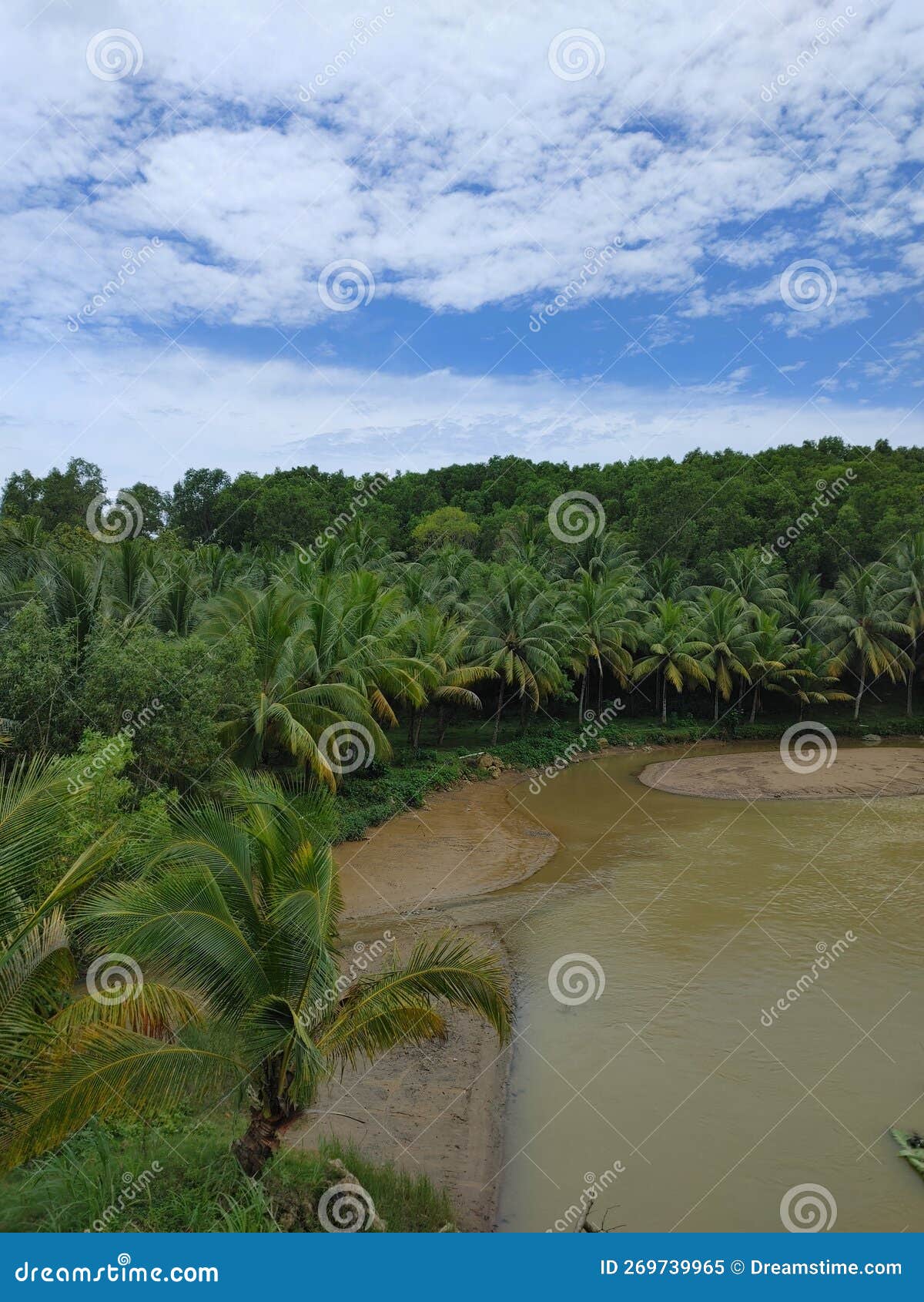 Very Muddy River after Rain Stock Image - Image of rain, river: 269739965