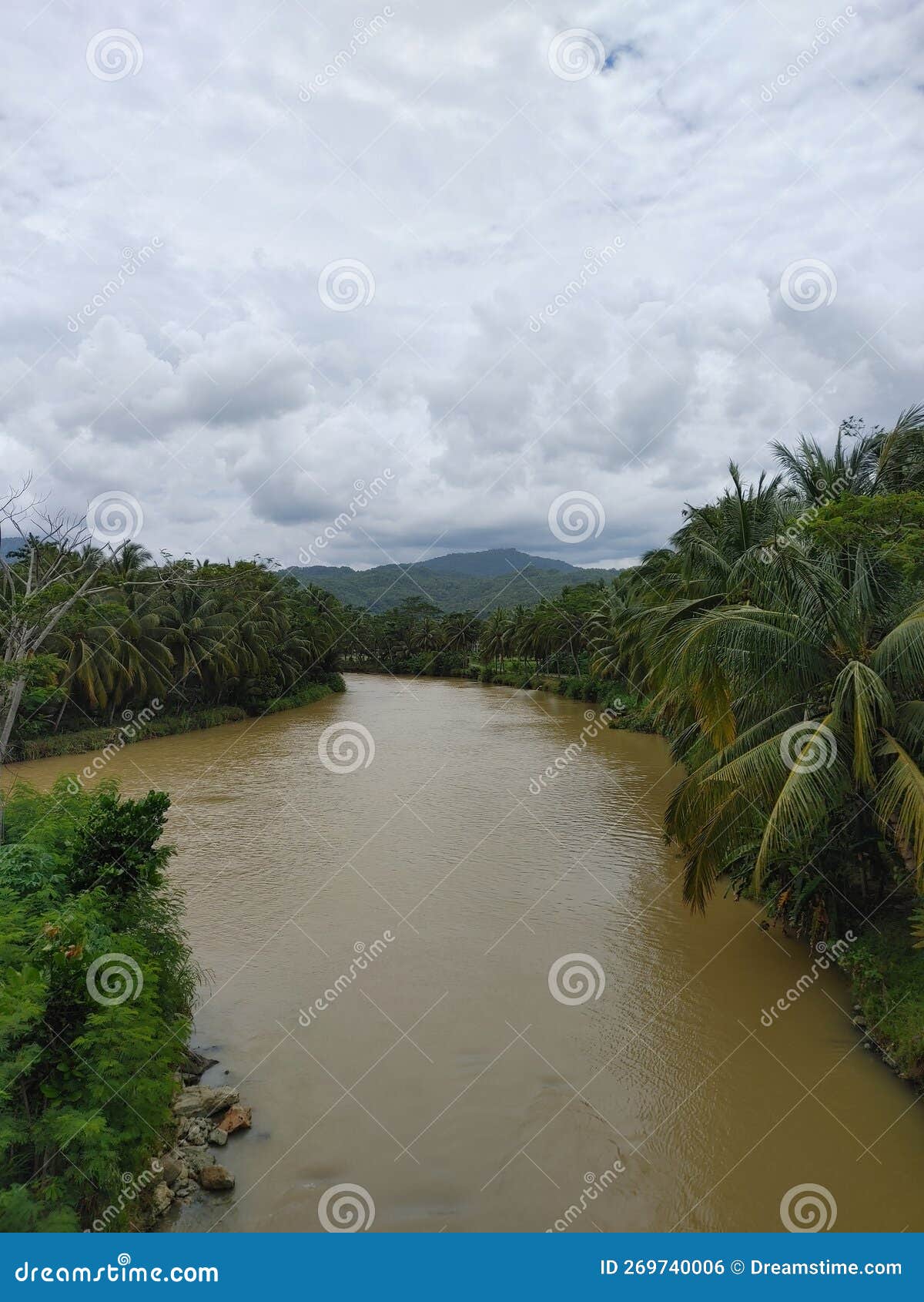 Very Muddy River after Rain Stock Photo - Image of rock, wall: 269740006
