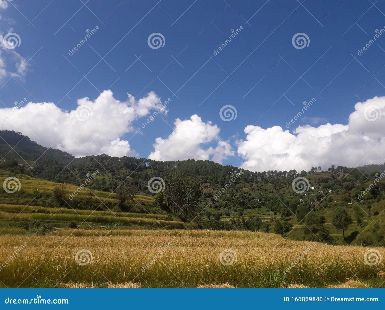 Very Nice and Clean Formula Place Sing of Uttarakhand Stock Photo ...