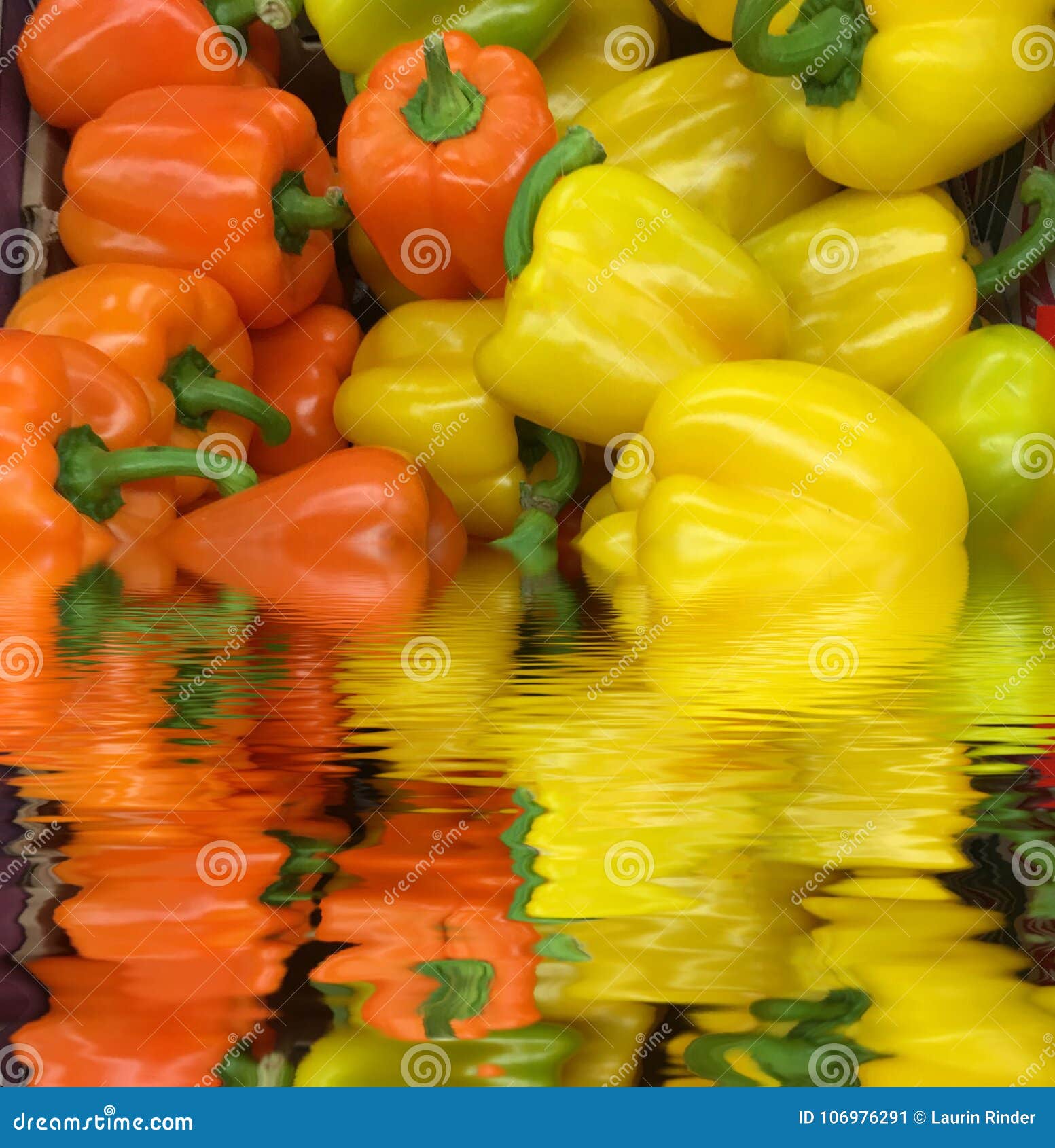 Assorted Bell Peppers In Water Stock Image - Image of food, fruit ...