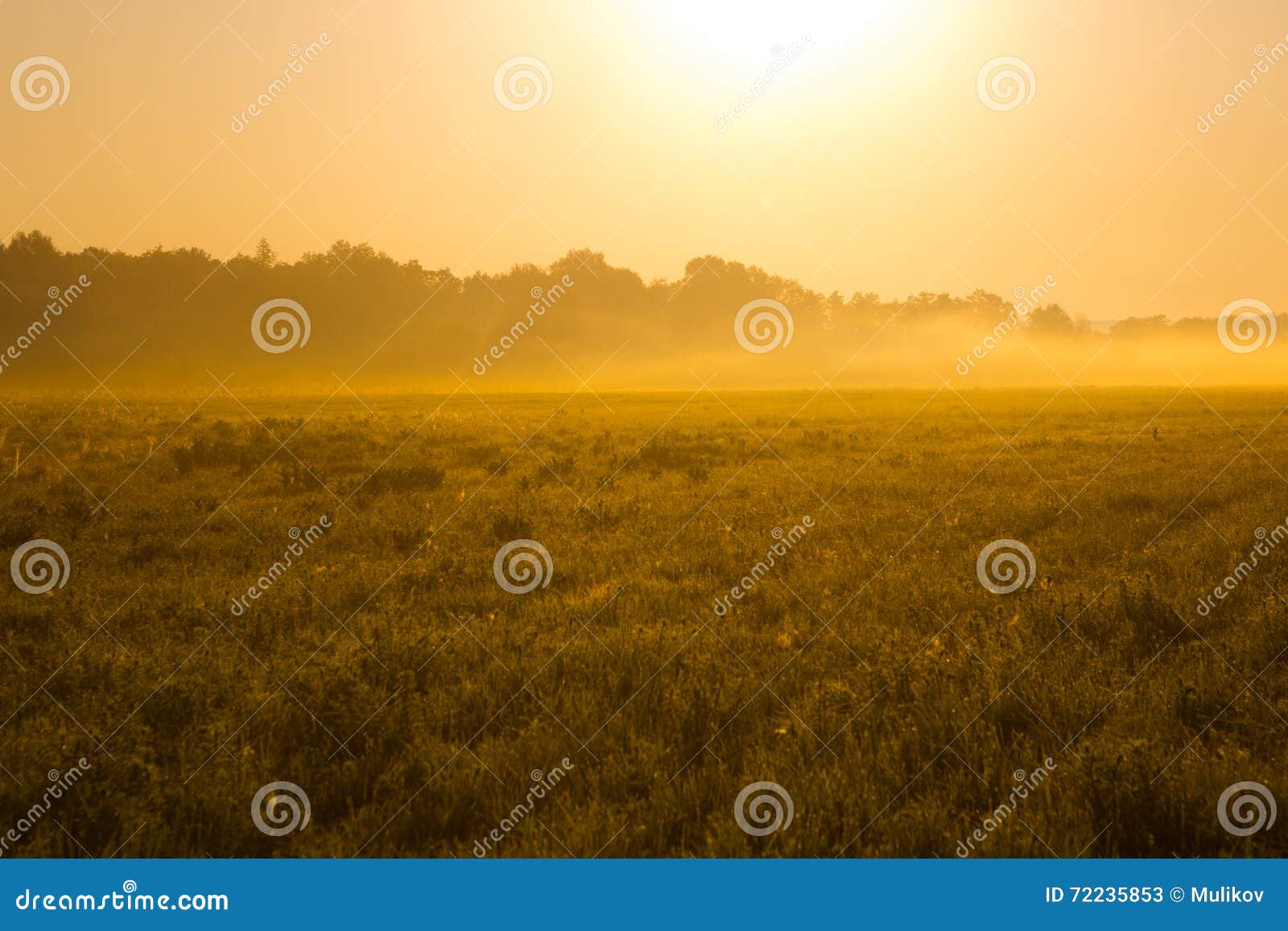 Very Nice Nature Background. Backlit Shot, Clear Sky Stock Image ...