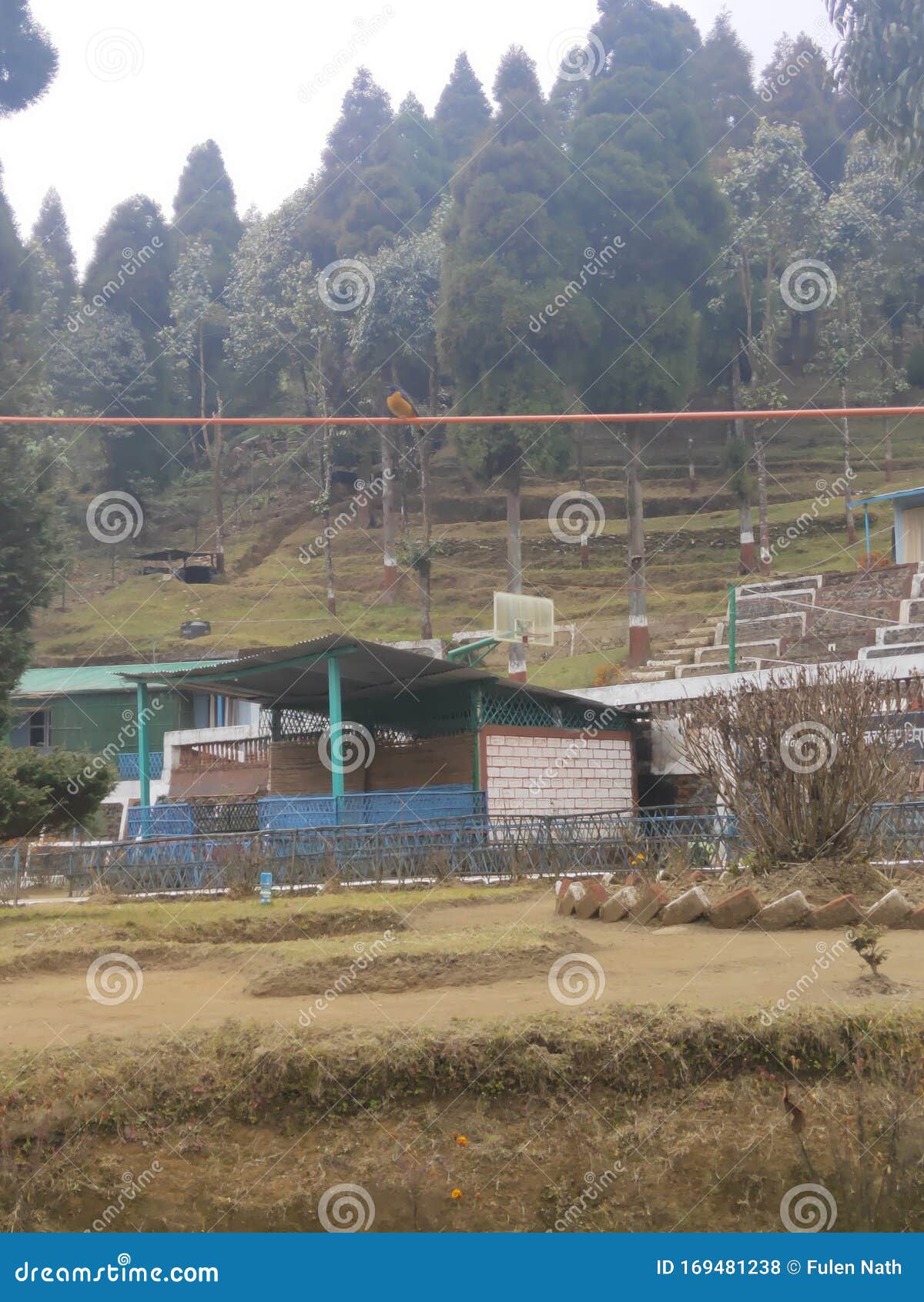 Very Nice Picture Debdaru Three Stock Photo - Image of debdaru, three ...