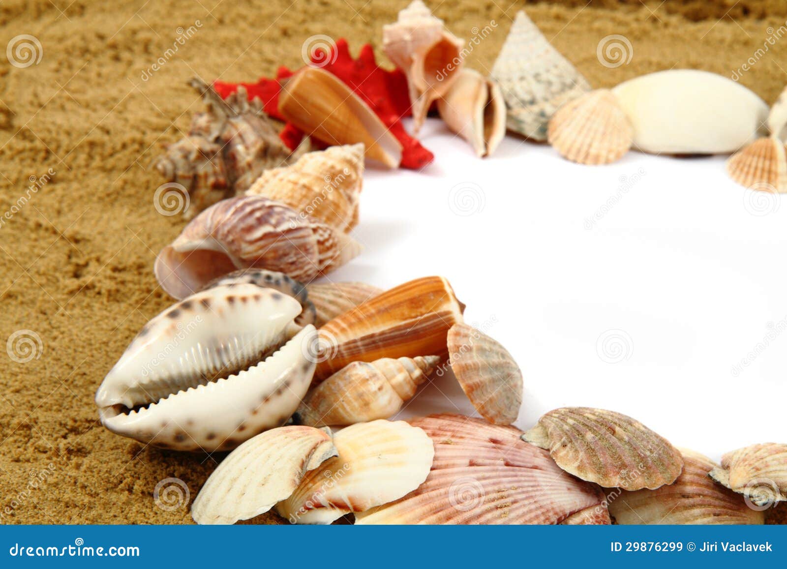 Sand frame with the shells stock image. Image of abstract - 29876299