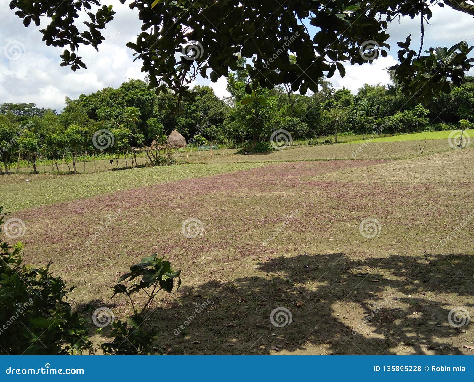 My village stock photo. Image of sinary, nice, village - 135895228