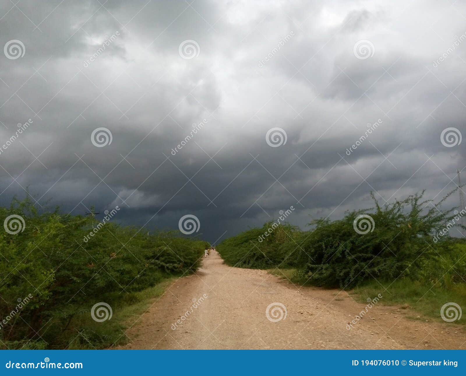Very Nice weather stock photo. Image of nature, highway - 194076010