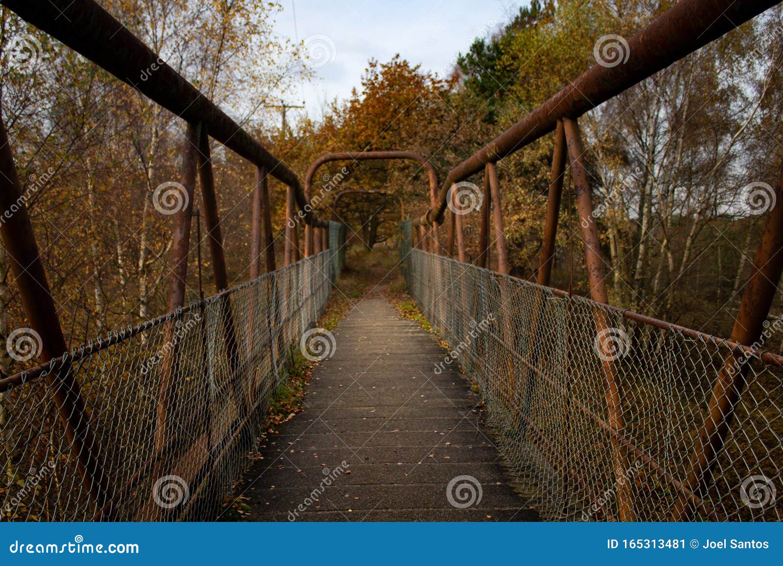 Very Old Bridge Surround by Forest Stock Image - Image of hiker ...