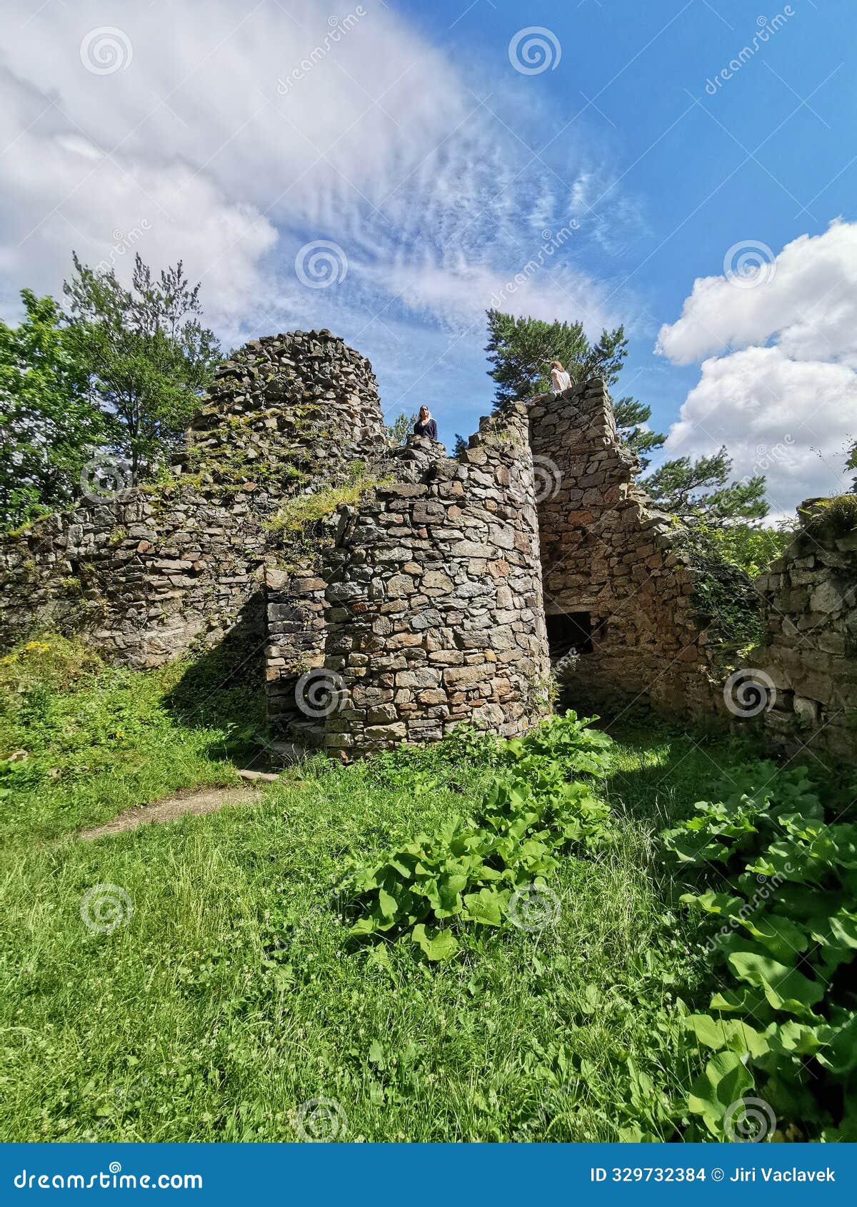 Very old castle ruins stock photo. Image of nature, forest - 329732384