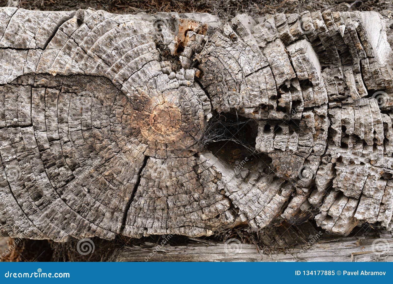 Very old log stock image. Image of beautiful, structure - 134177885