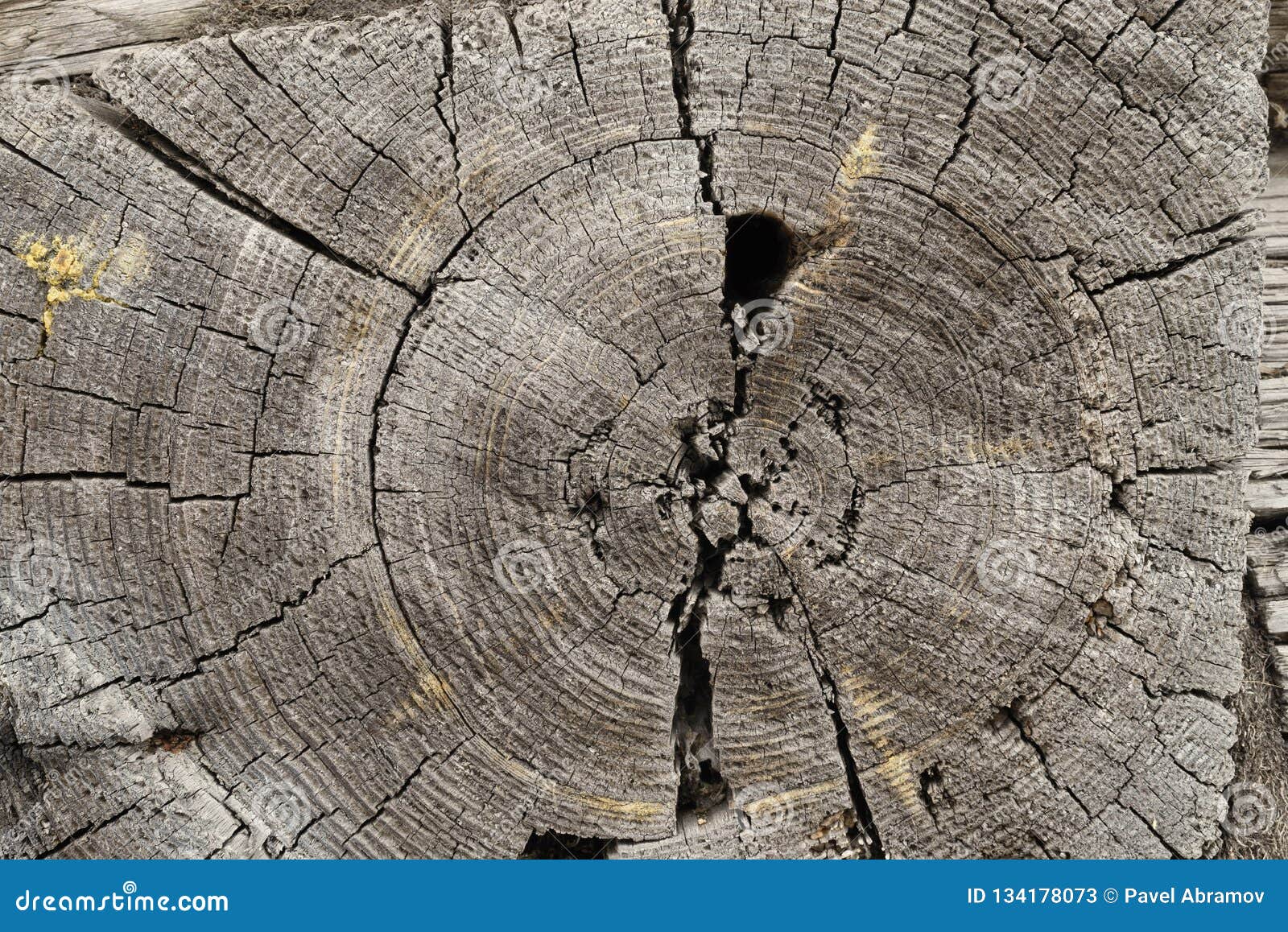 Very old log stock image. Image of brown, antique, macro - 134178073