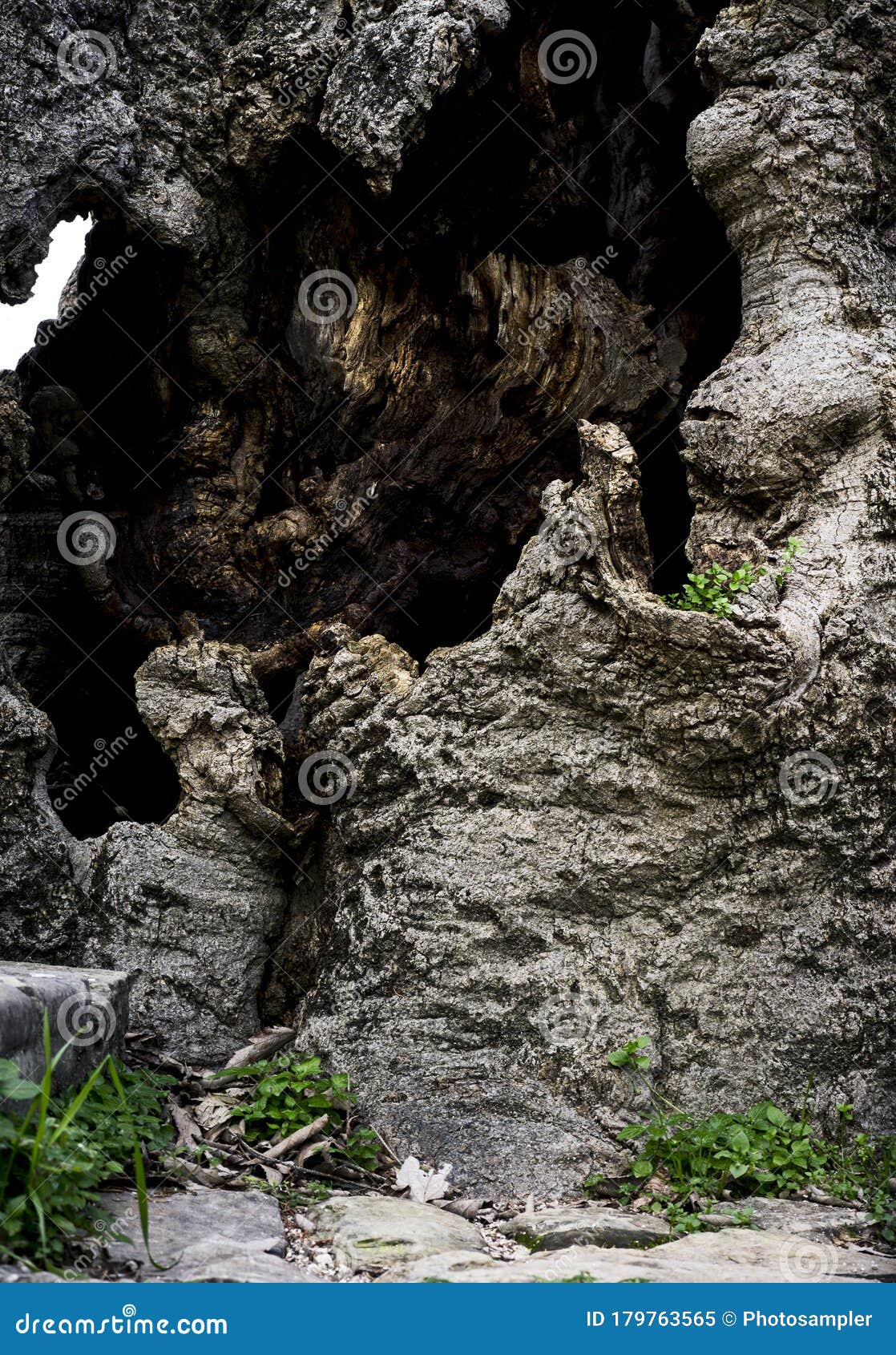 Very Old Rotten Bottom with Emptiness Inside Stock Image - Image of ...