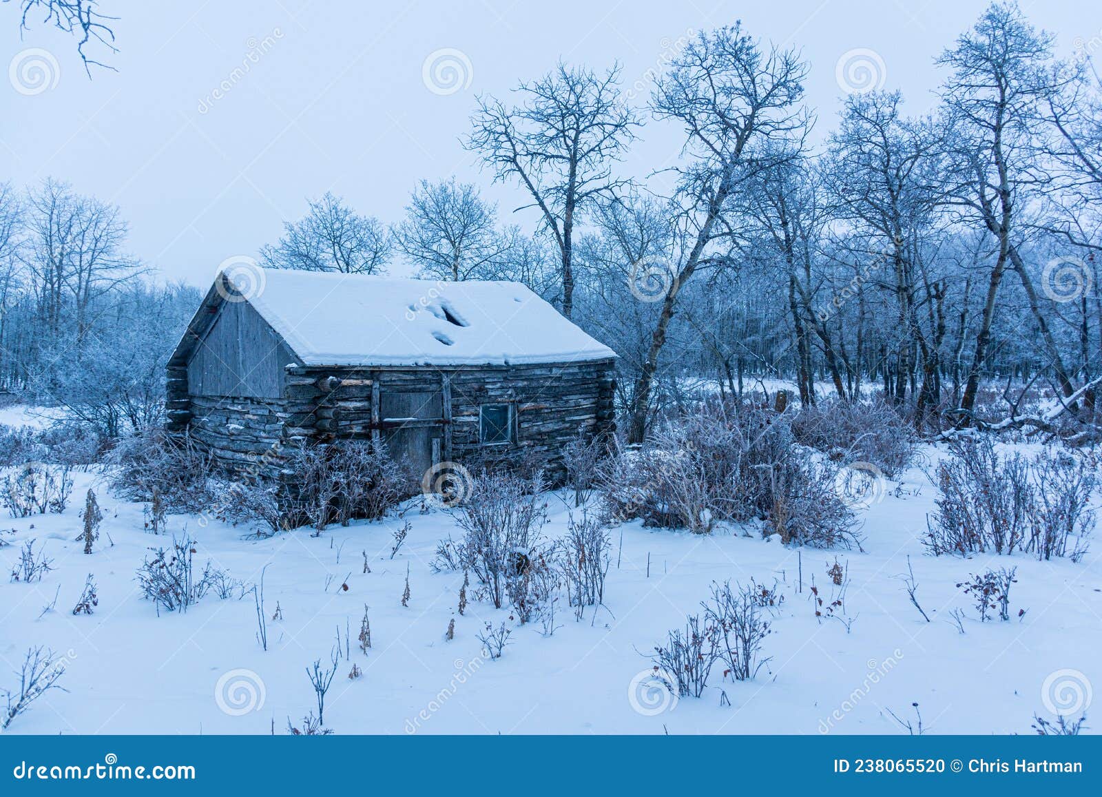 Rustic Log Cabin in the Winter Stock Photo - Image of cold, mountain ...
