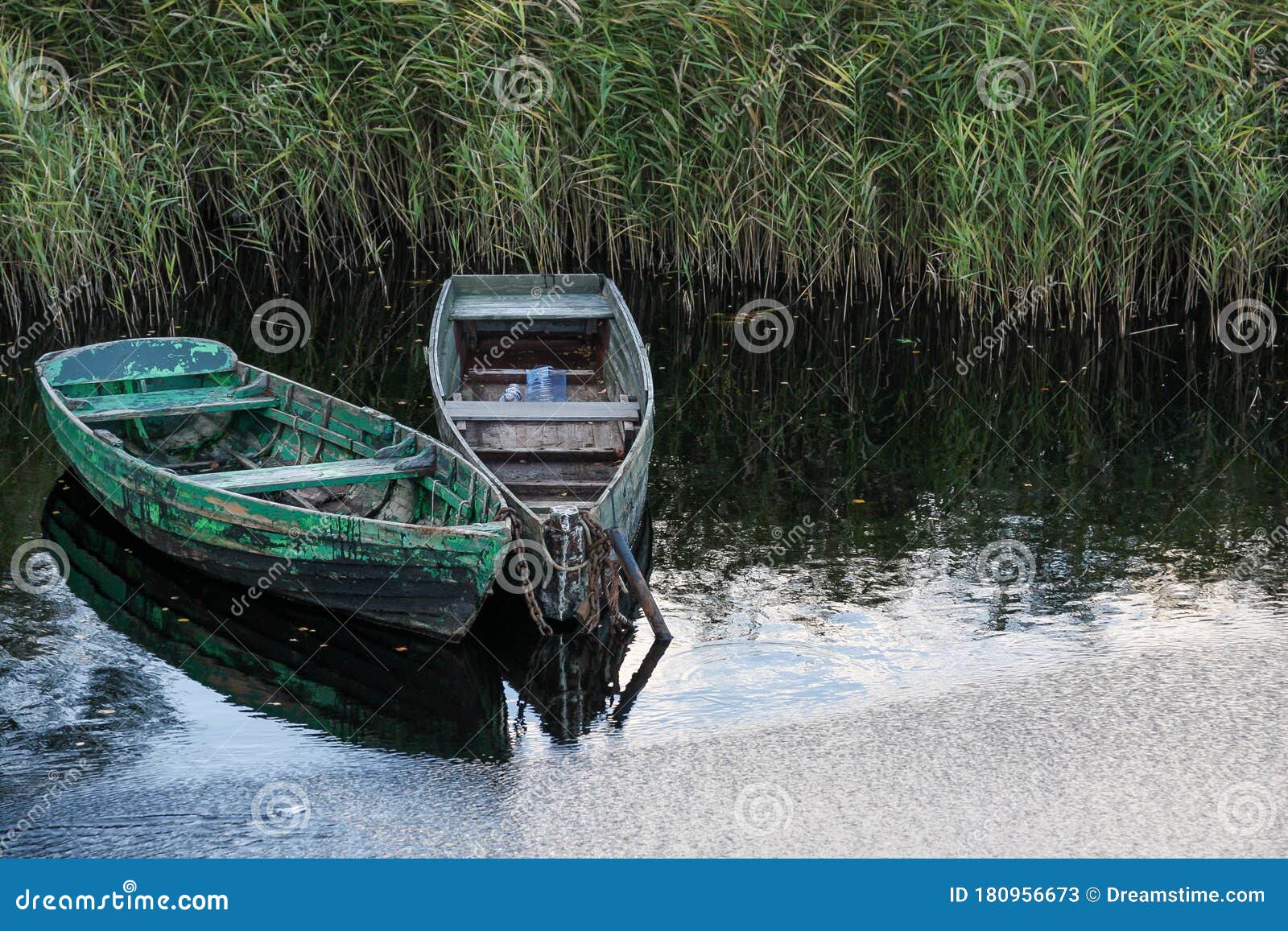 Very Old Rustic Rowboats in Water Stock Image - Image of rowboats, next ...