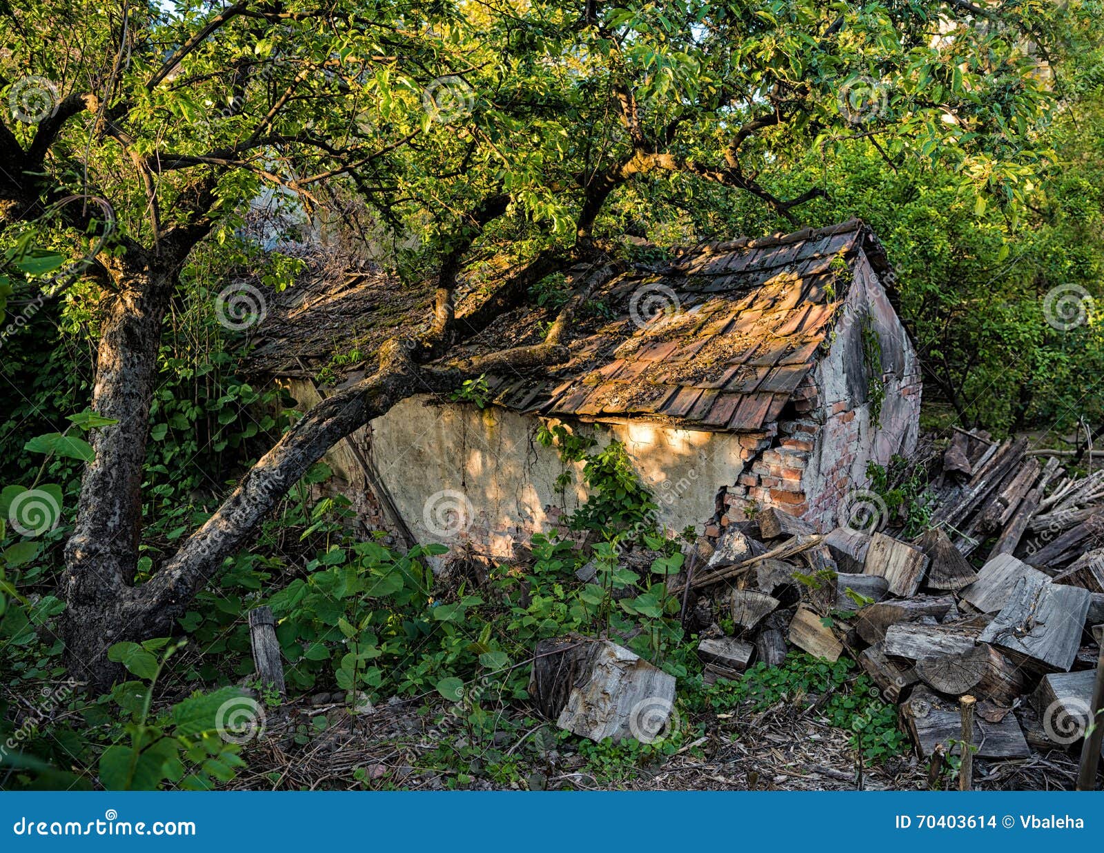 Very old small hut stock photo. Image of nature, vintage - 70403614
