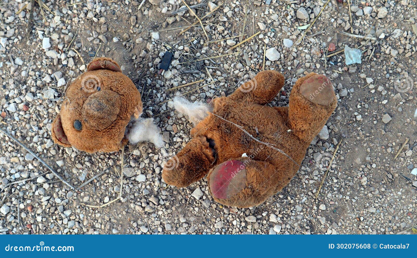 A Very Old Soft Toy Teddy Bear with Its Head Torn Off, Stock Photo ...