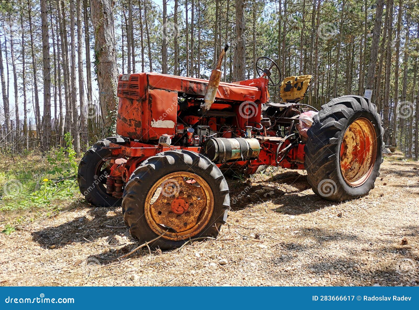 Very Old Tractor in Forest. Red Tractor Stock Image - Image of vintage ...