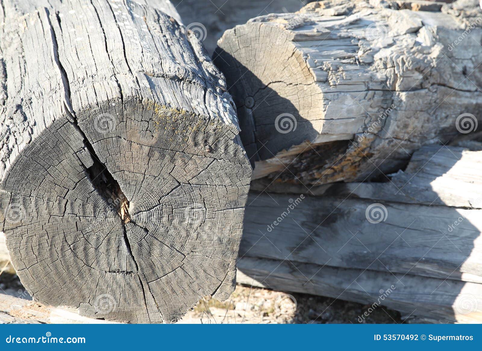 Very old wooden logs stock photo. Image of logs, view - 53570492
