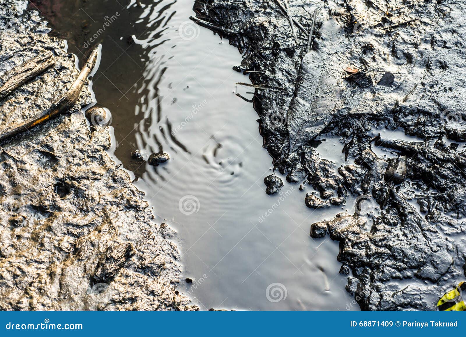 Very polluted water stock image. Image of bottle, nature - 68871409