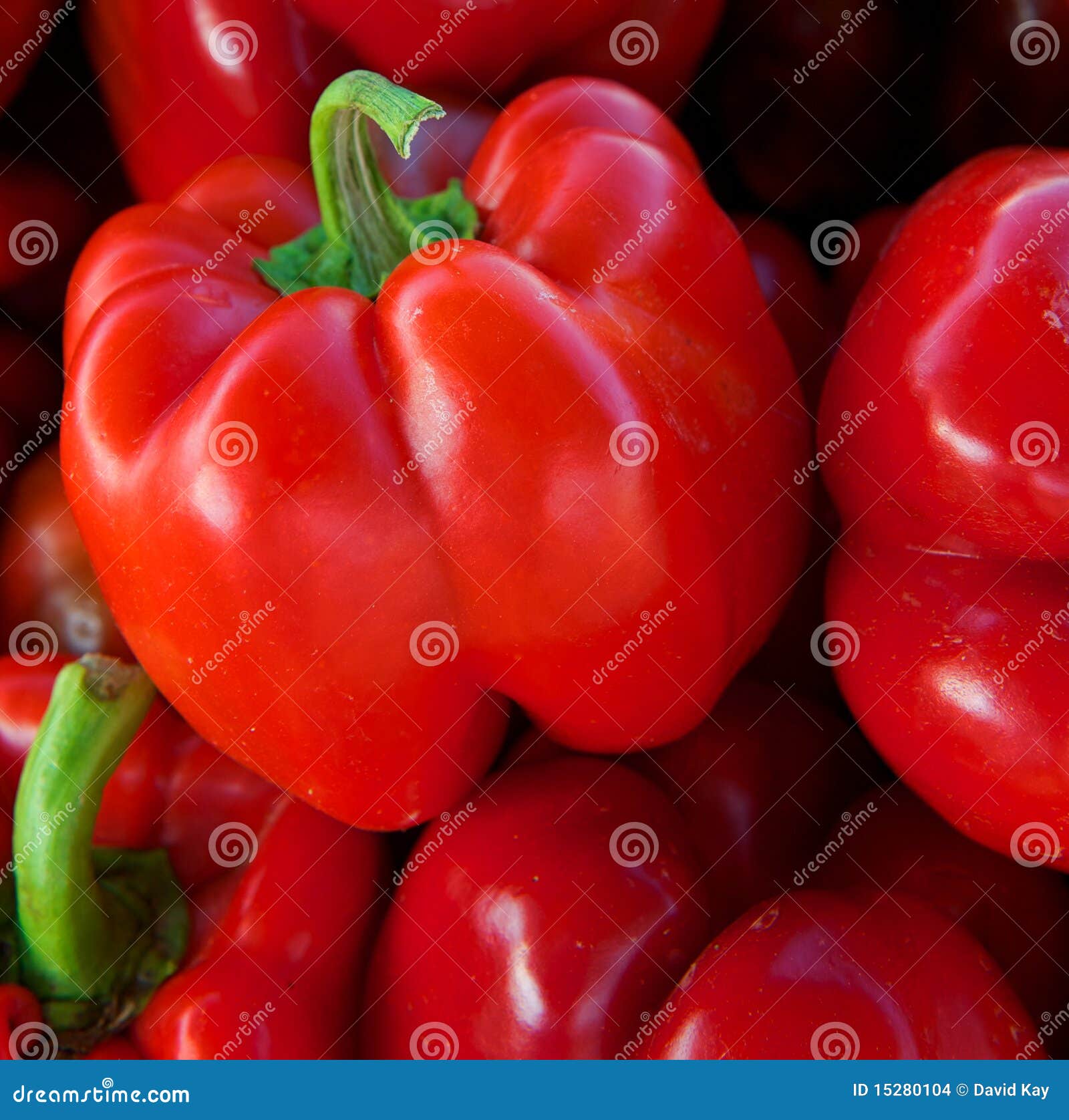 Very red bell pepper stock photo. Image of food, bell - 15280104