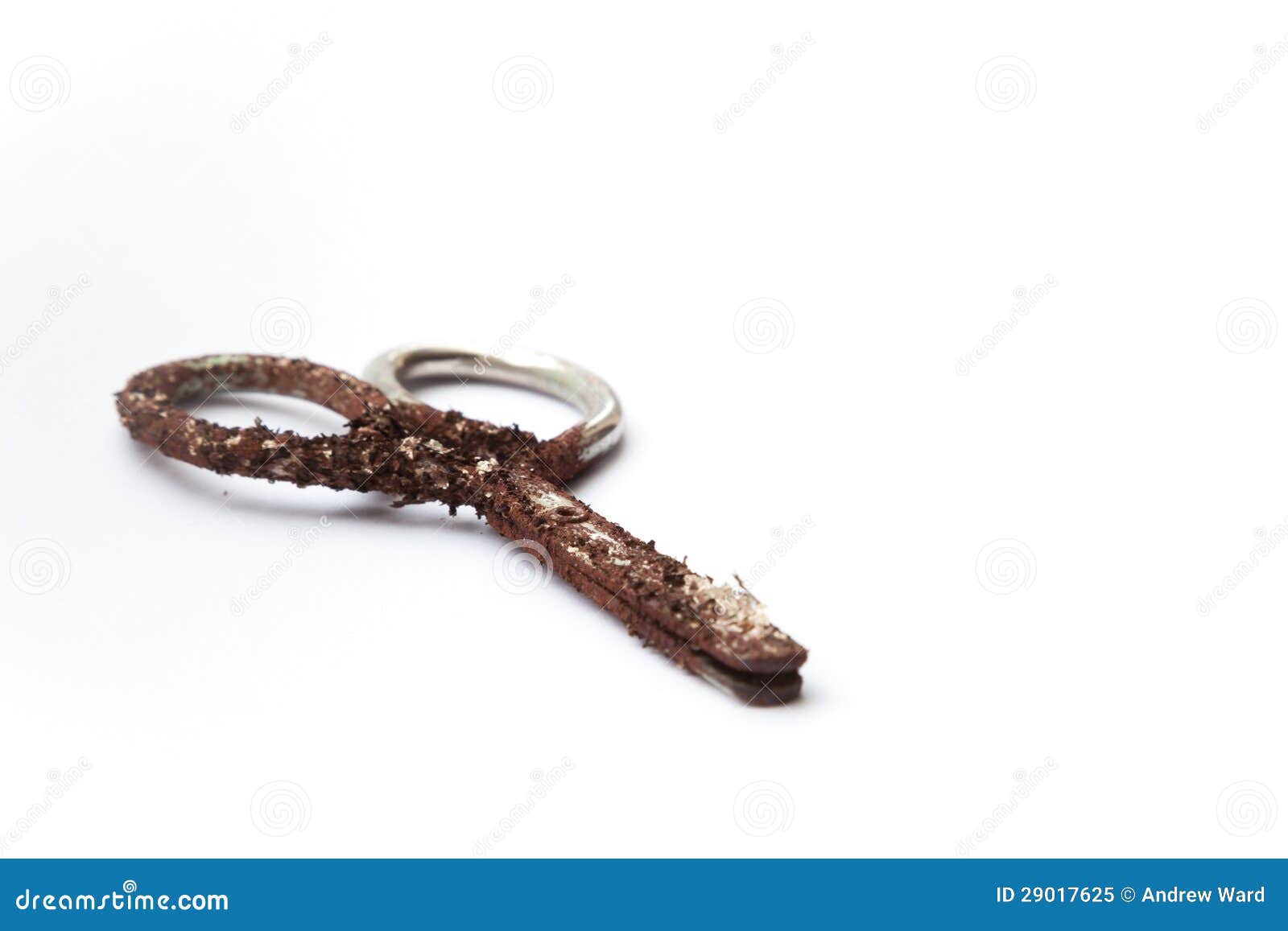 Very Rusty Scissors Viewed End on with Focus on Pivot of Blades Stock ...