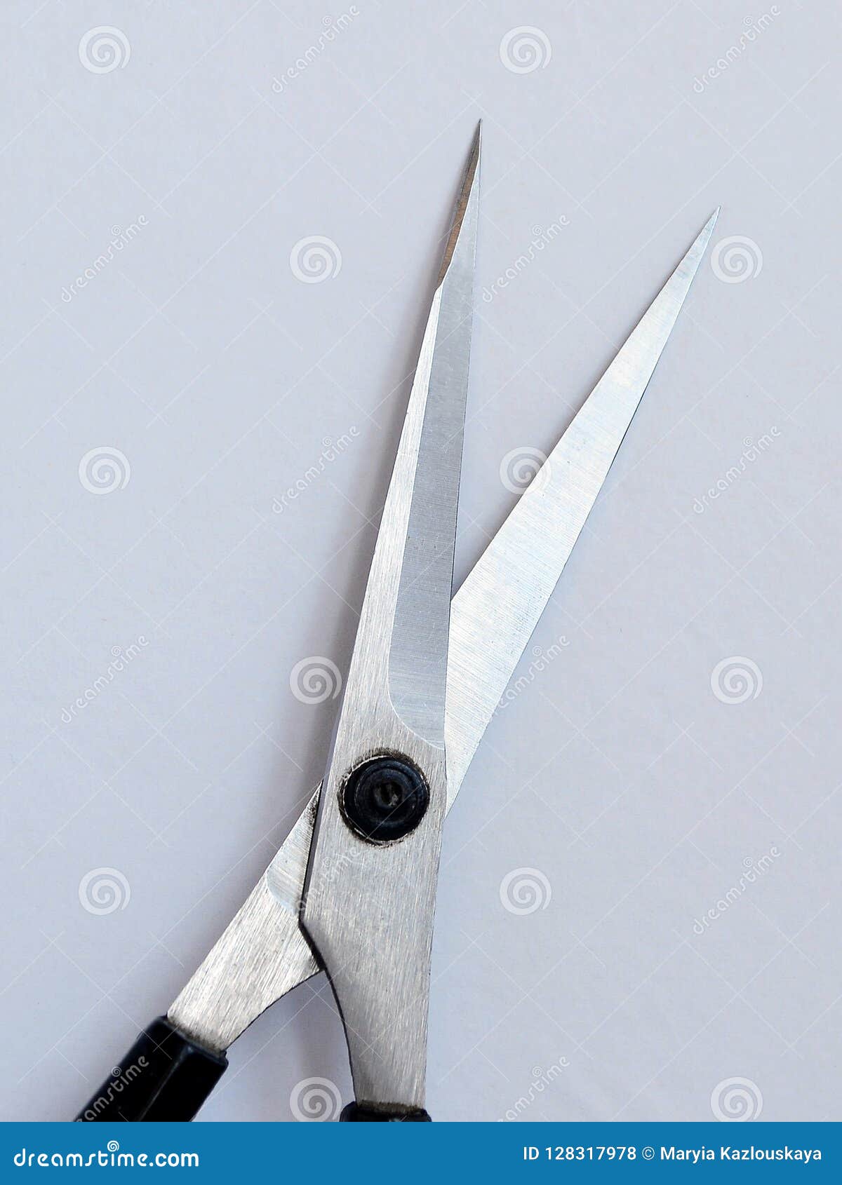 Very Sharp Tips of a Tailor`s Scissors on a Neutral Background Stock ...