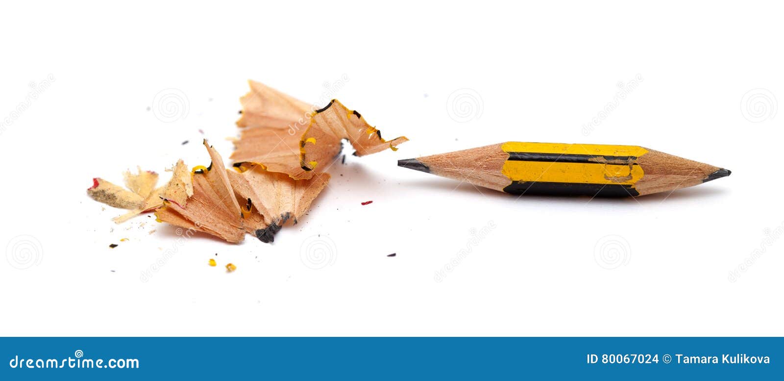 Very short pencil stock photo. Image of sharpened, scrimp - 80067024