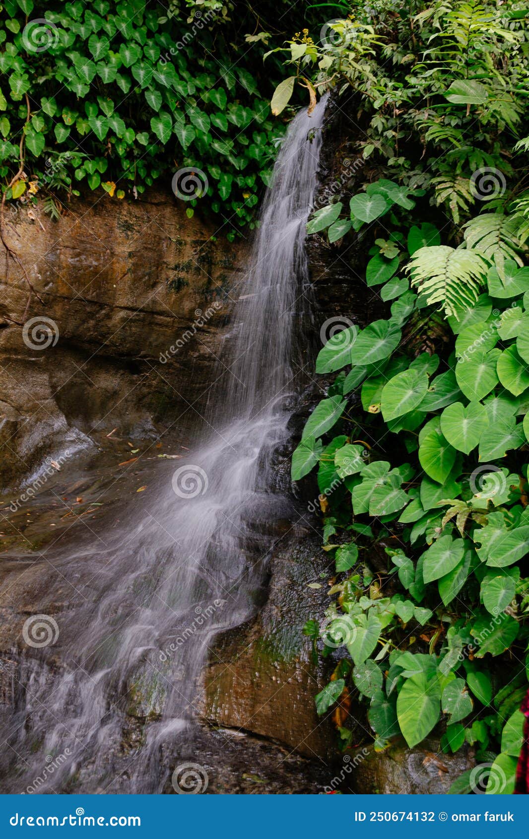 A Very Simple and Beautiful Waterfall Flowing Stock Photo - Image of ...