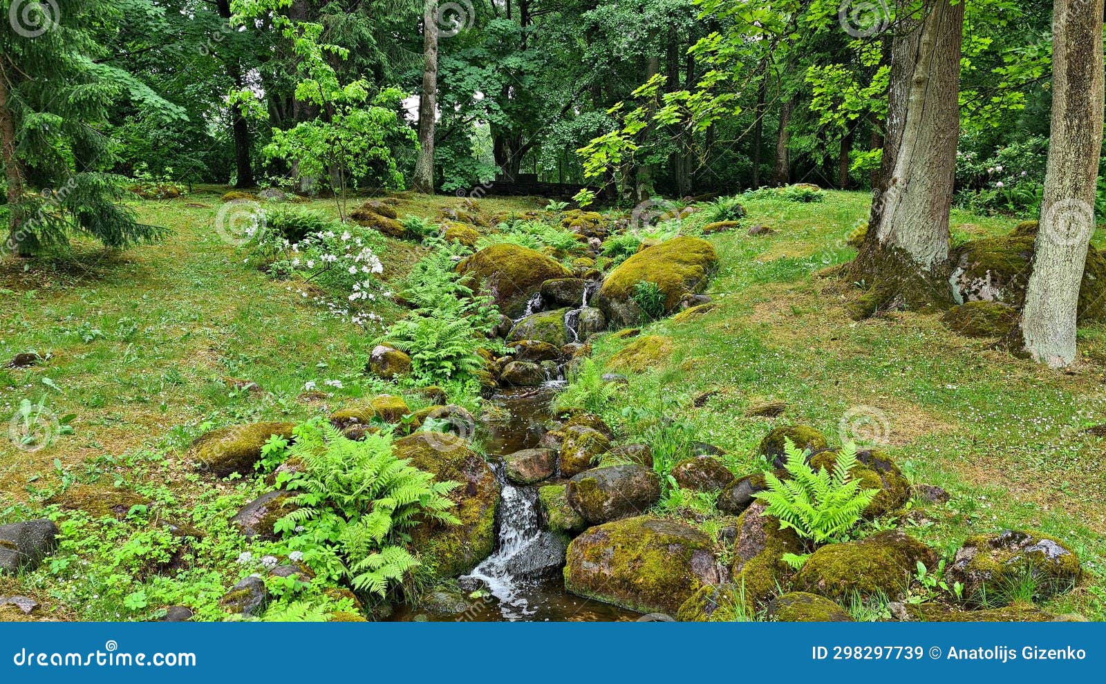 Very Small Stream Lined with Stone Boulders Flows through the Forest in ...