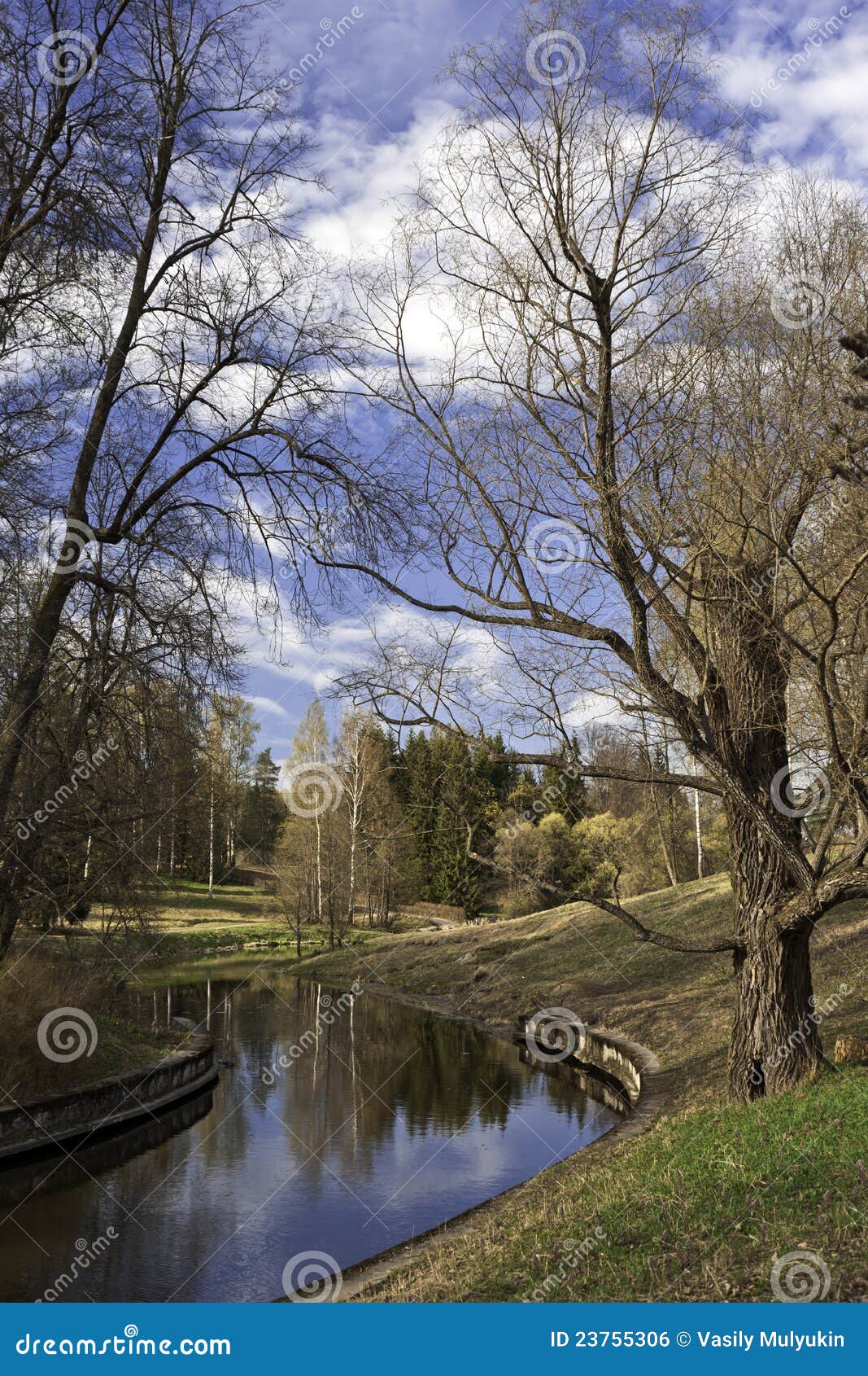 The very start of Spring stock photo. Image of leaves - 23755306