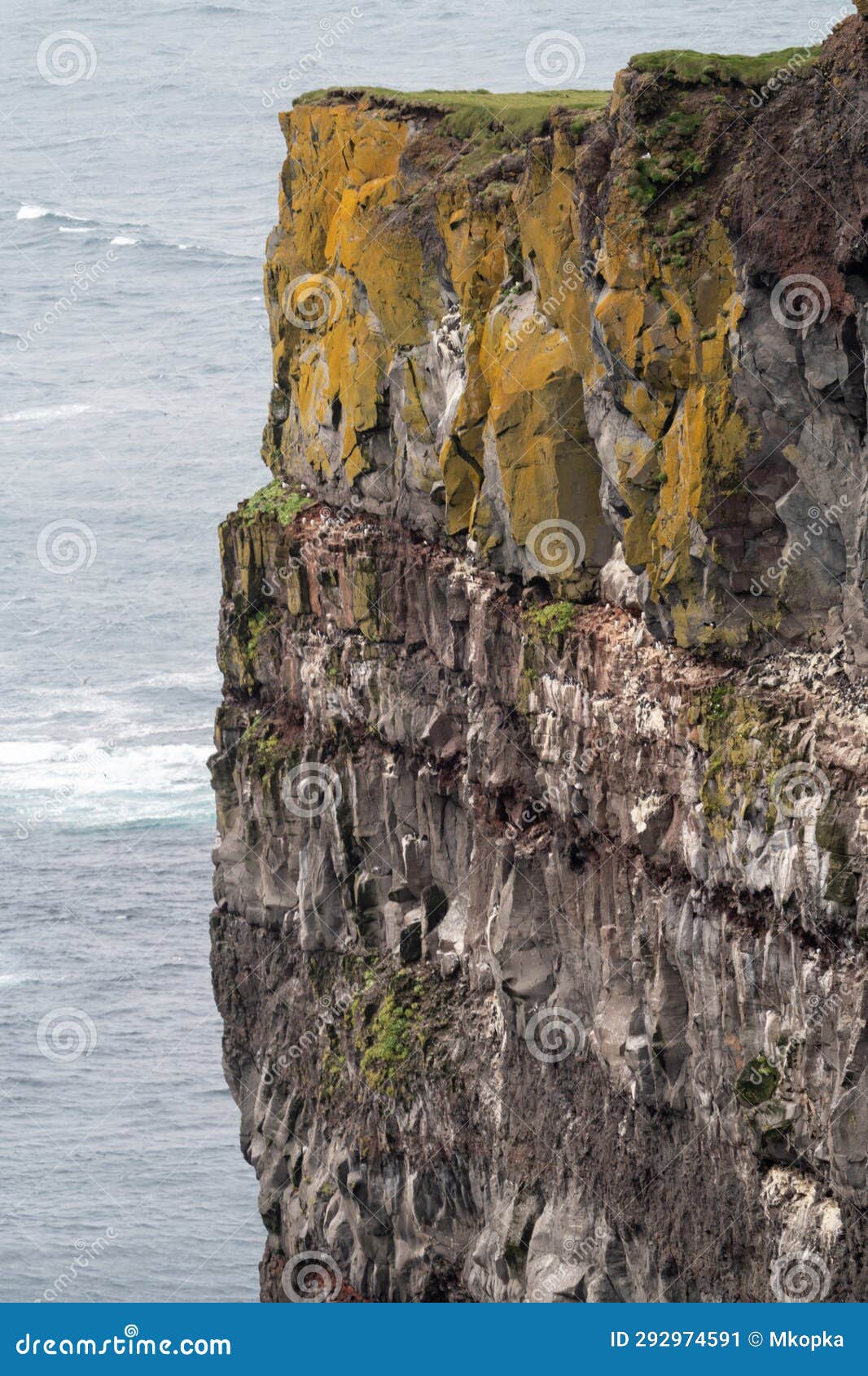 The Very Steep, Dangerous Bird Cliffs of Latrabjarg, Iceland Stock ...