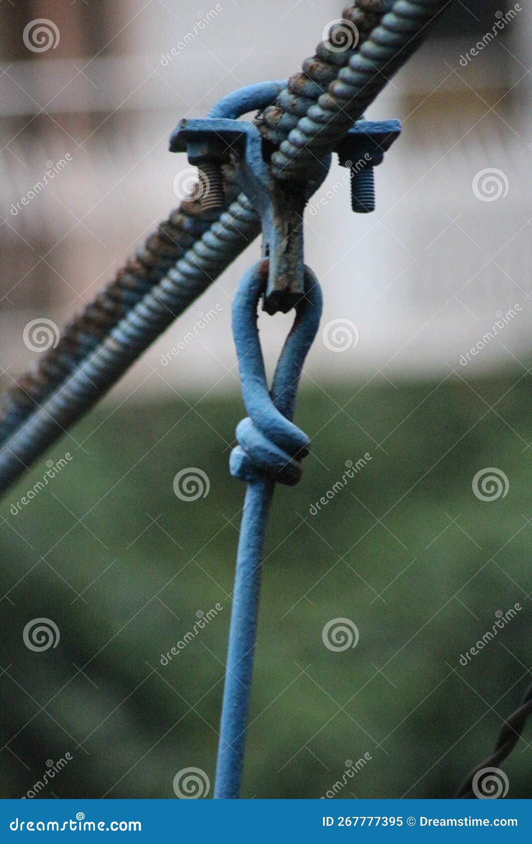 Very Strong Blue Rope Bridge Stock Image - Image of blue, rope: 267777395