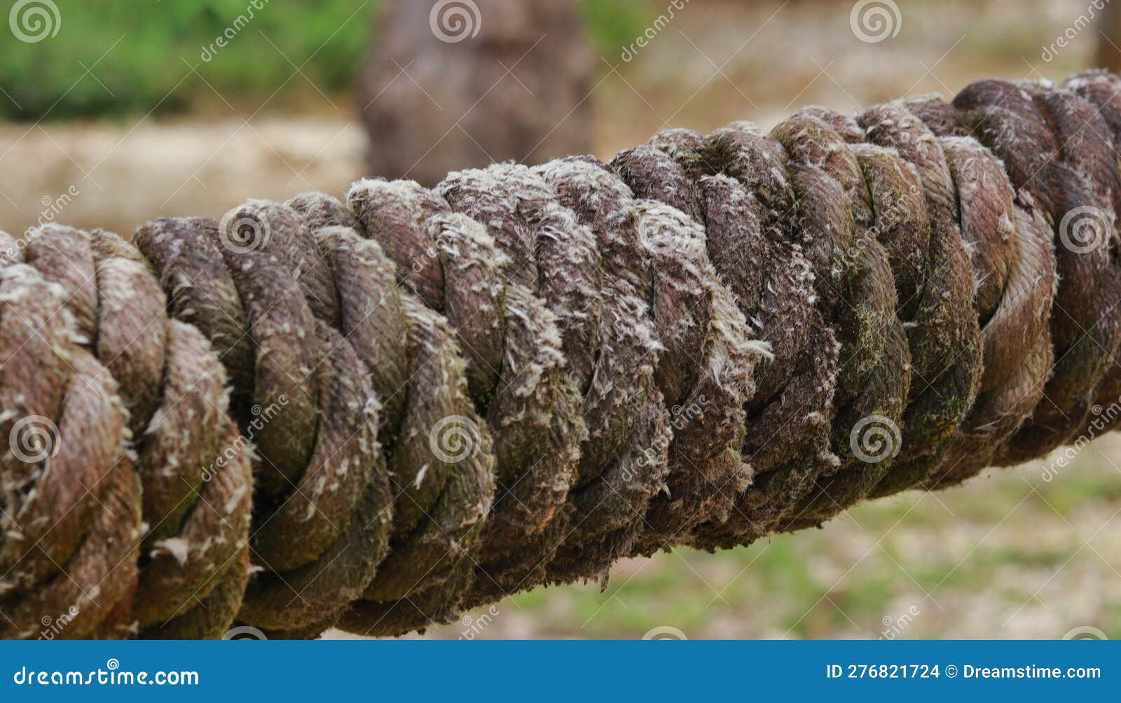 Very Strong and Sturdy Rope Knot Stock Photo - Image of rock, food ...