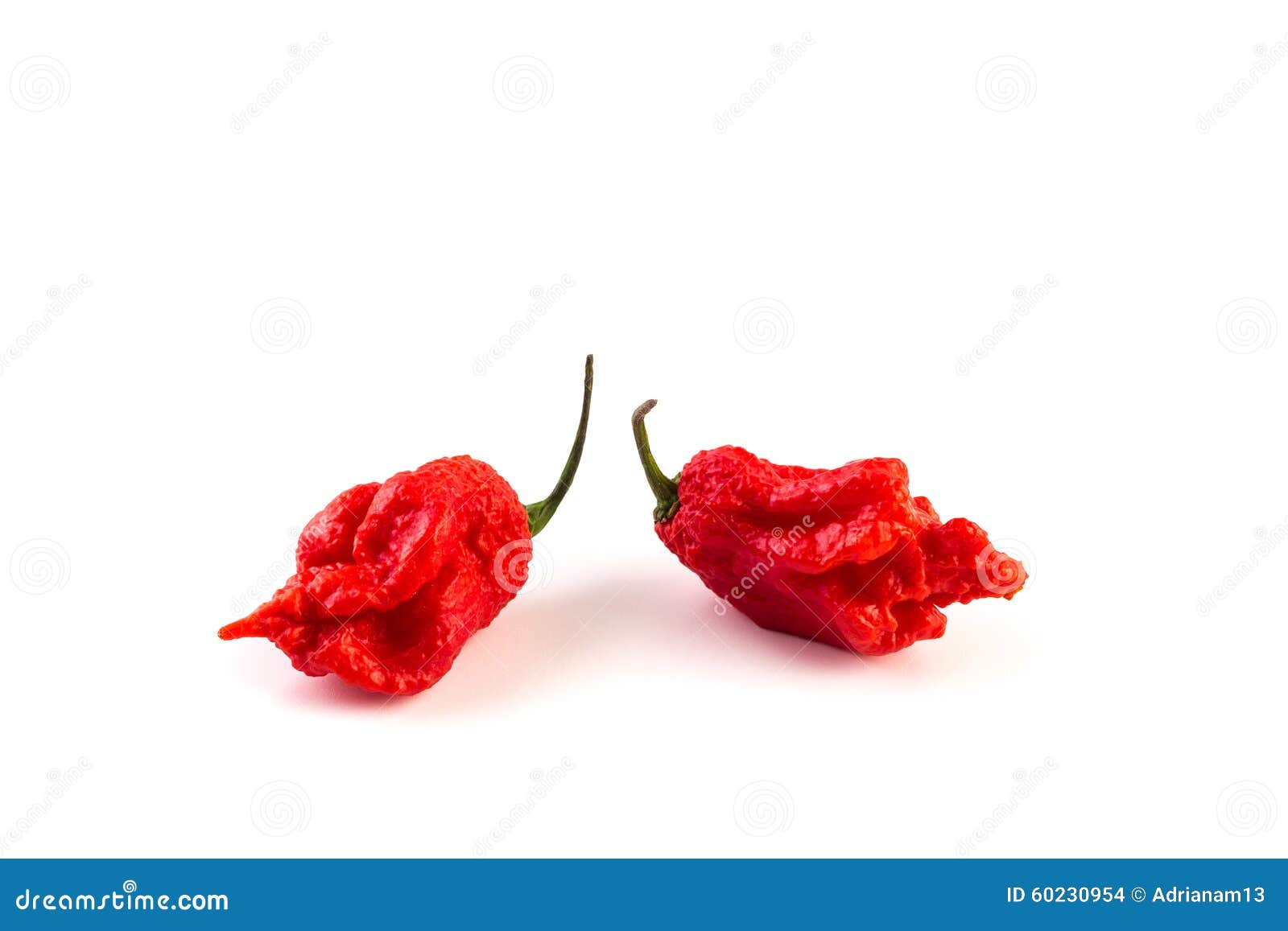 Very Strongly Hot Pepper Carolina Reaper Stock Photo - Image of ...