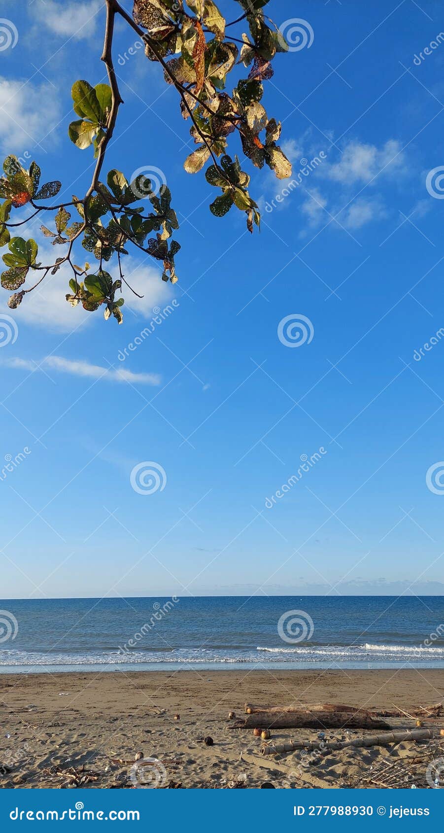 A Very Sunny Day beside a Beautiful Beach Stock Photo - Image of sunny ...