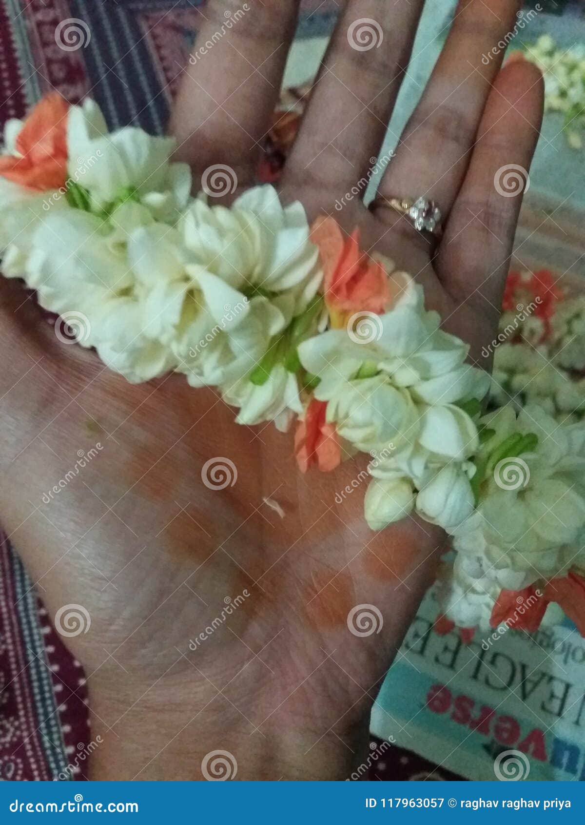 Pidichi Flower Stock Photos - Free & Royalty-Free Stock Photos from ...