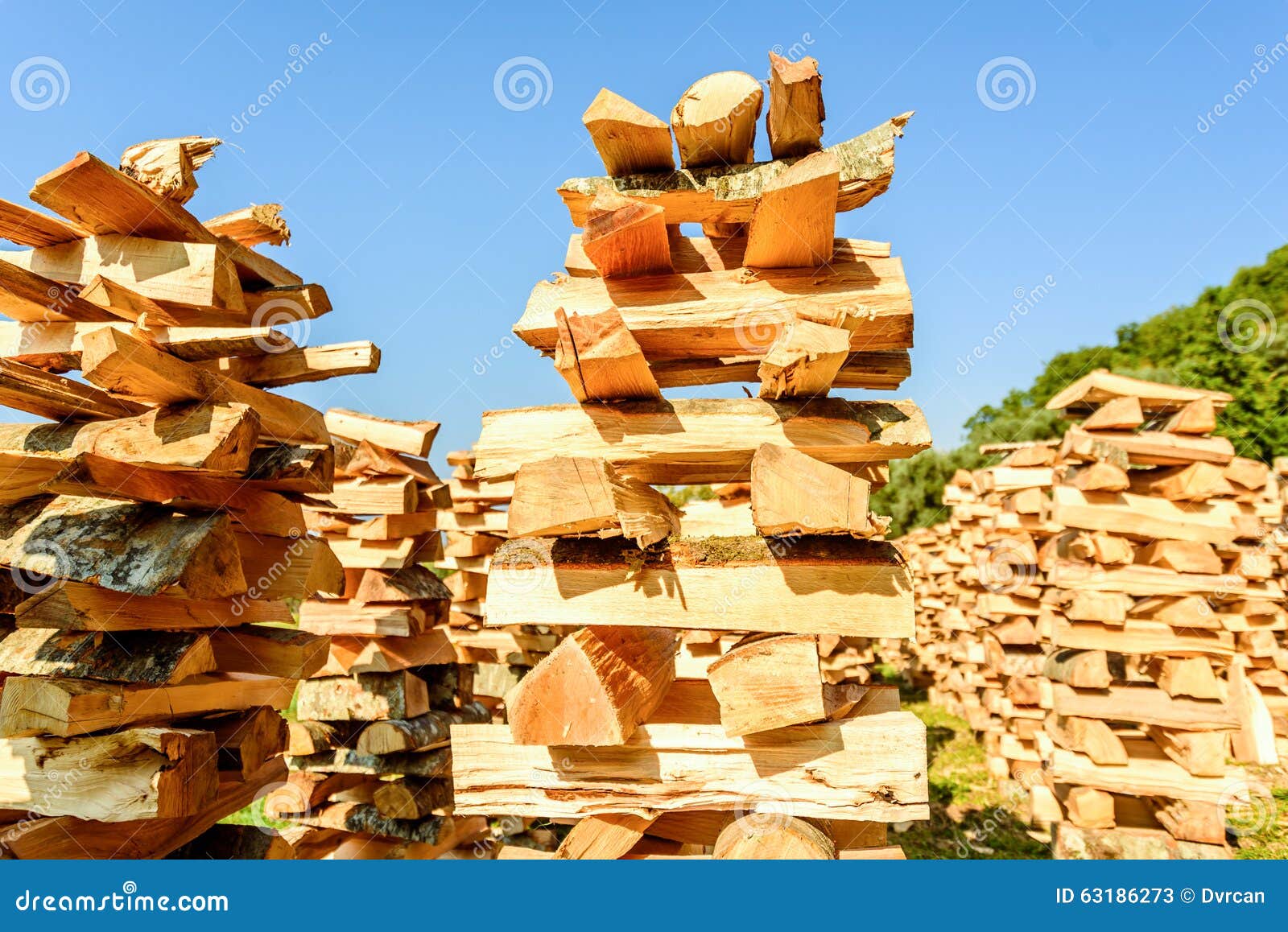 Very Unusual Way of Stacking Cut Wood Logs Stock Image - Image of load ...