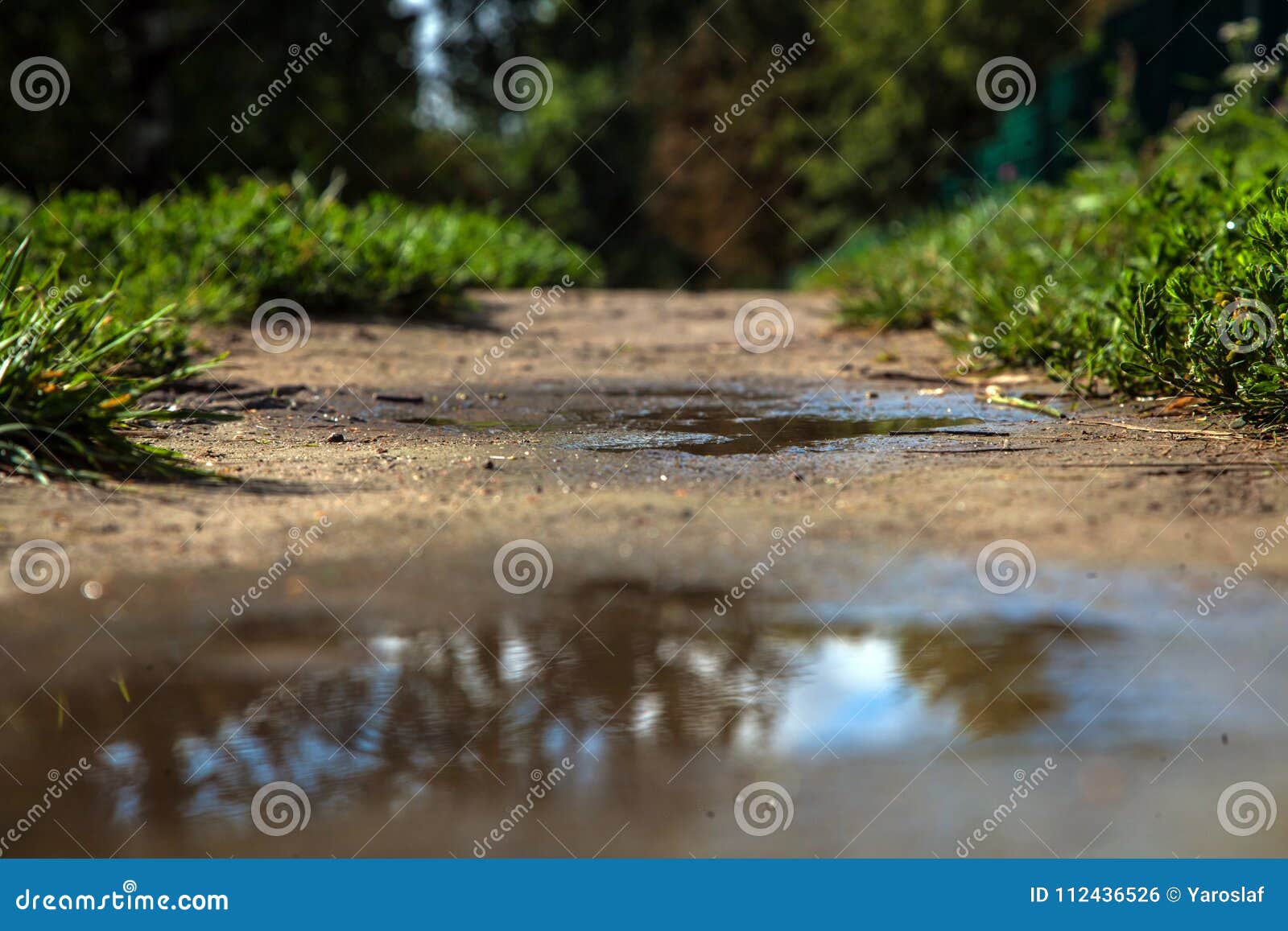 Pathway after rain stock photo. Image of imprint, green - 112436526