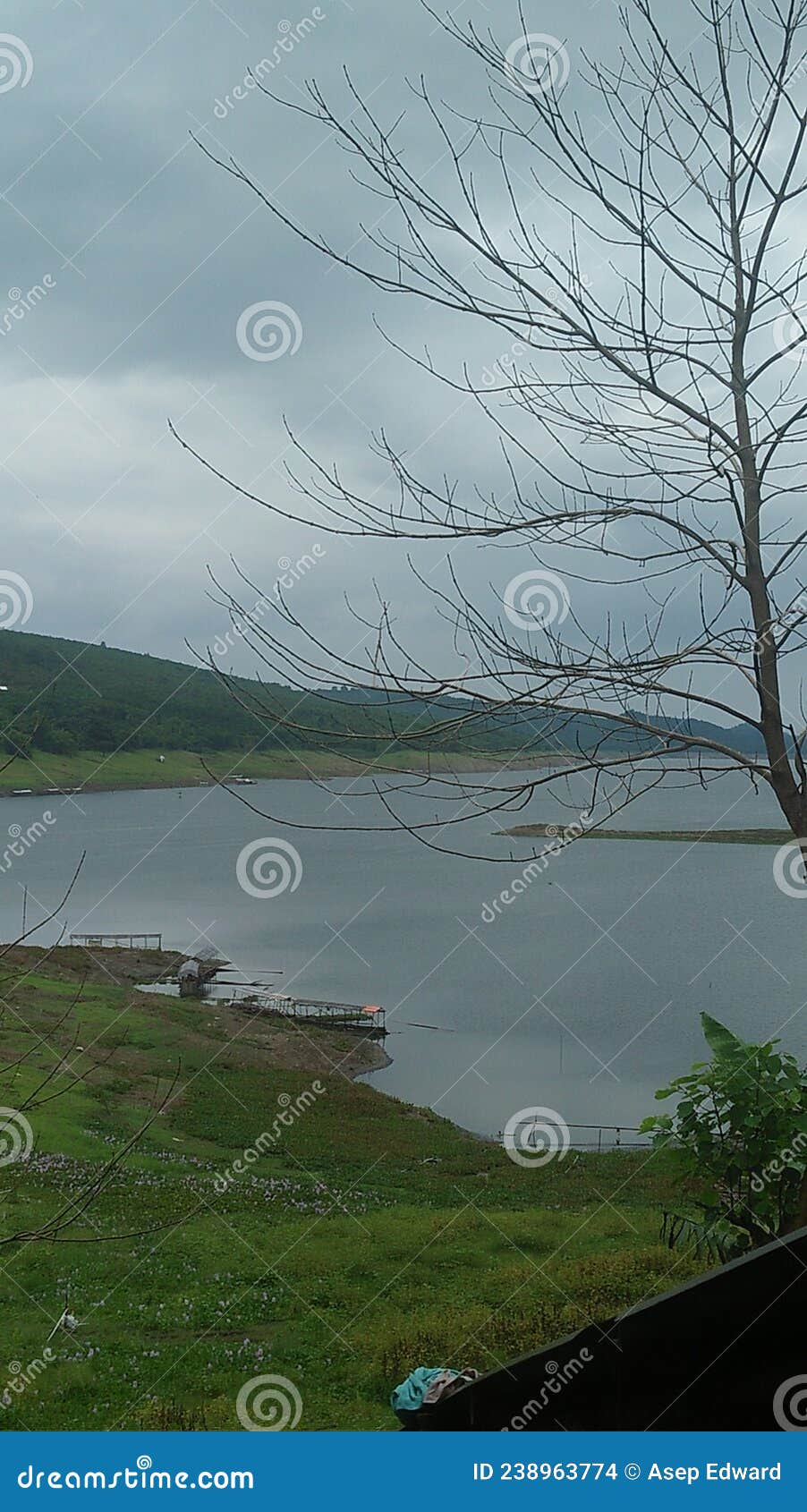Very wide lake stock photo. Image of waterway, shore - 238963774