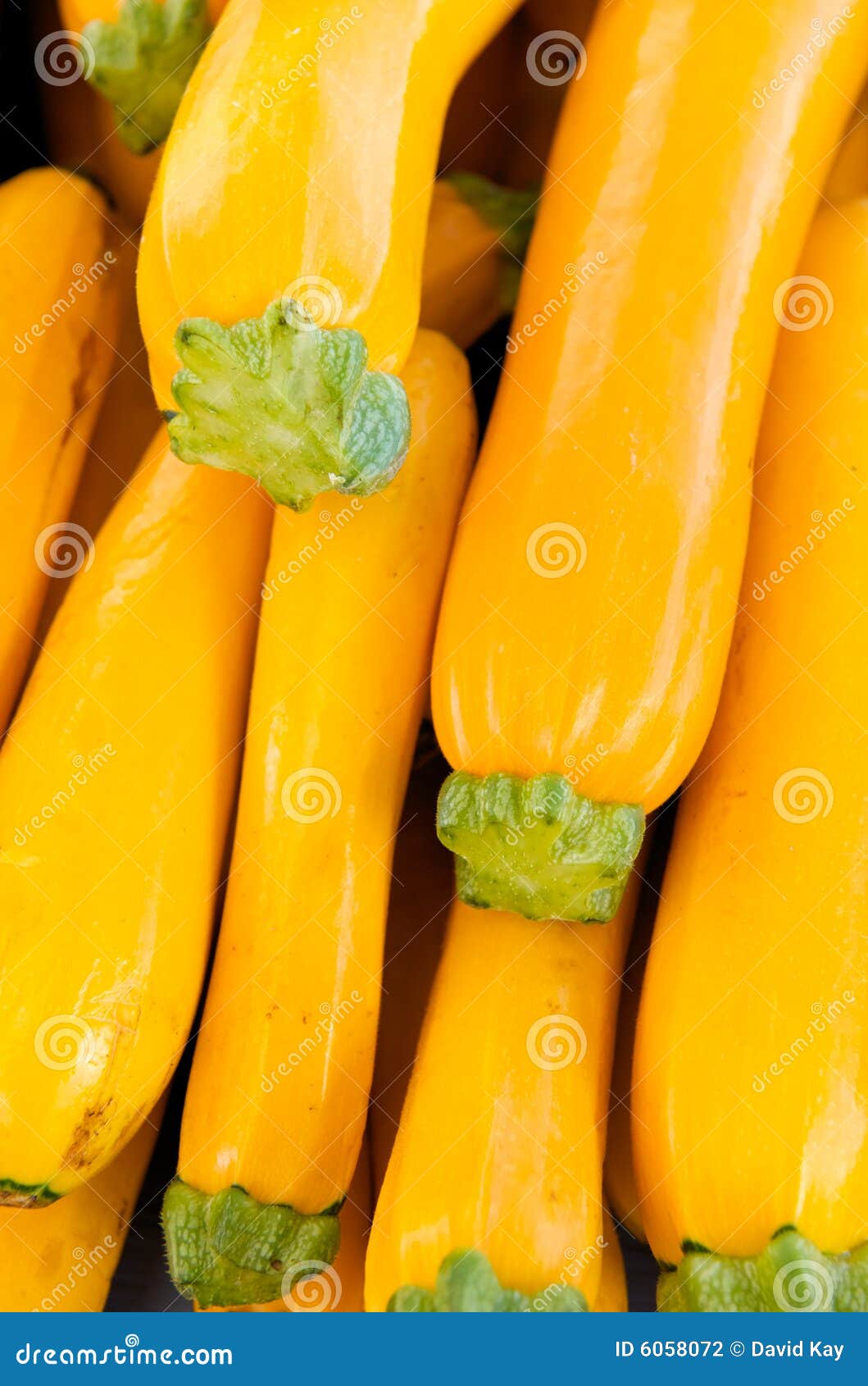 Very Yellow stock photo. Image of cooking, glow, farm - 6058072