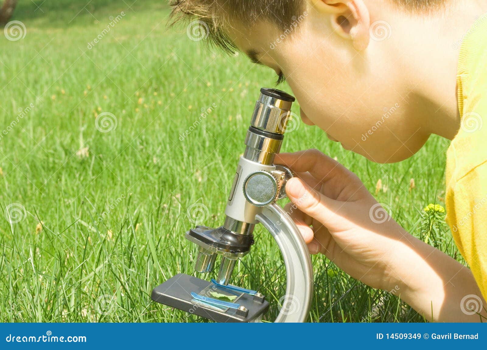 A very young scientist stock image. Image of studying - 14509349