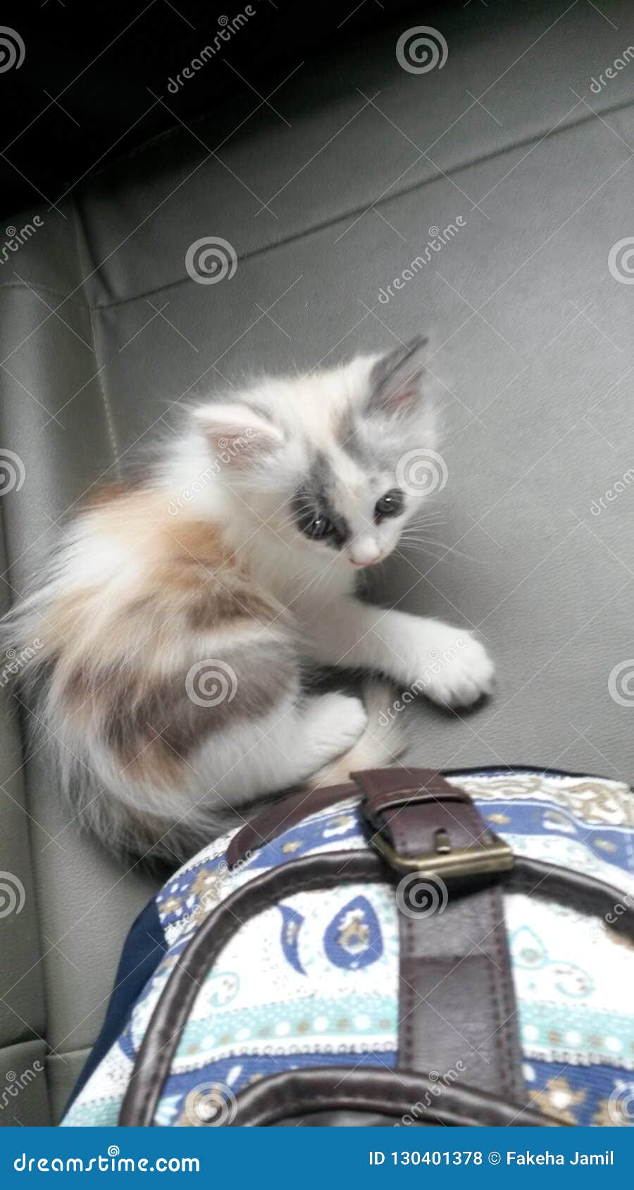 Veryy Cute Stock Photos - Free & Royalty-Free Stock Photos from Dreamstime